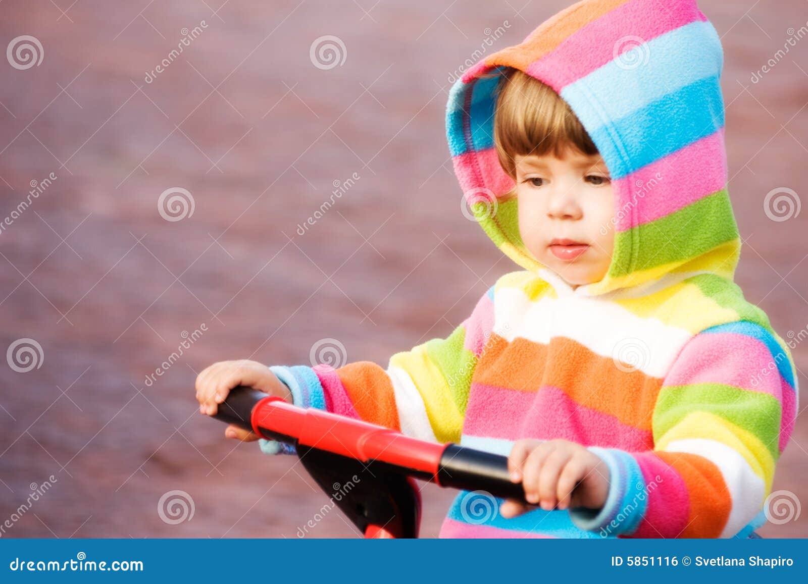 My First Test Drive stock photo. Image of clear, driving - 5851116