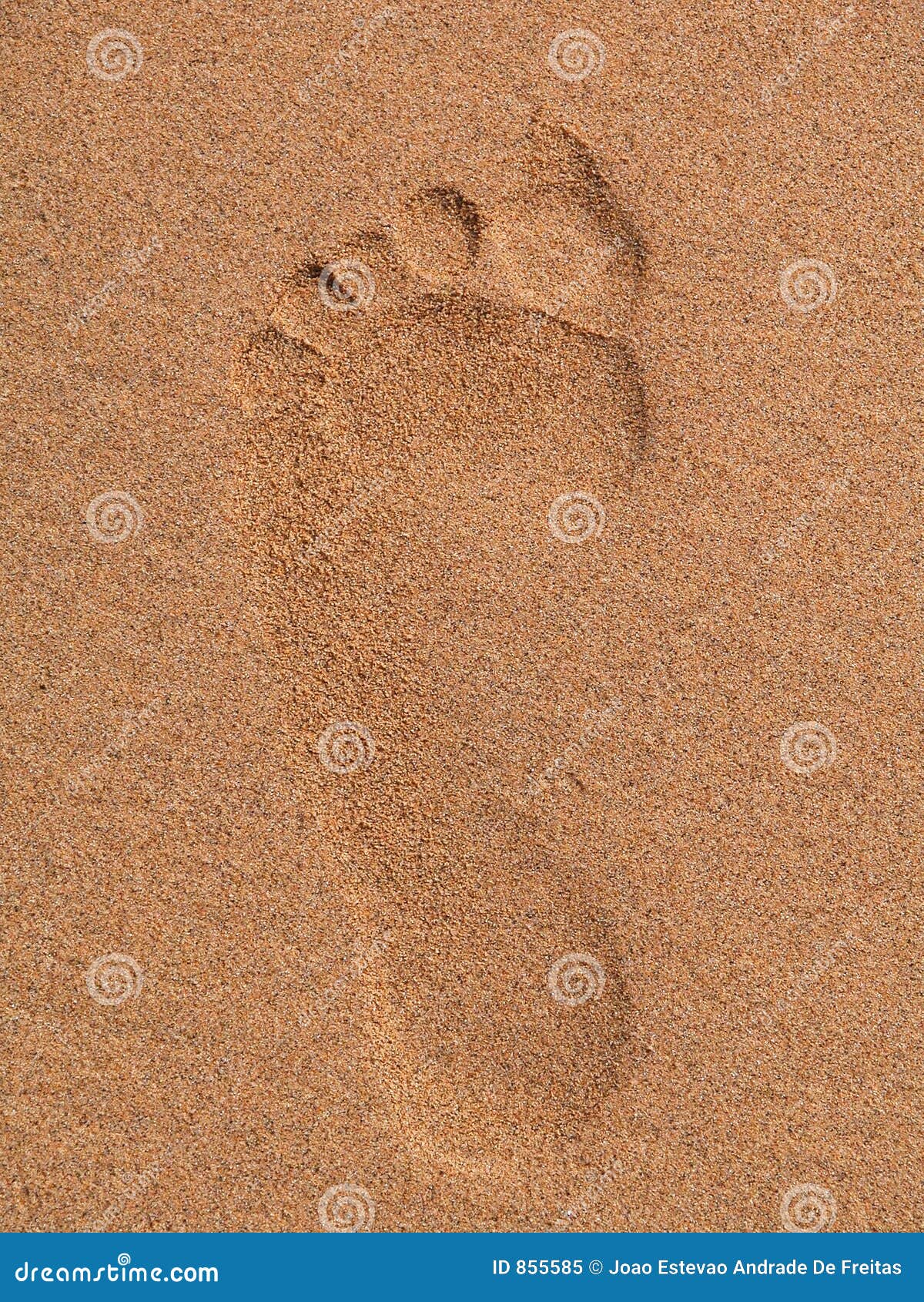 My footprint stock image. Image of digital, detail, miscellaneous - 855585