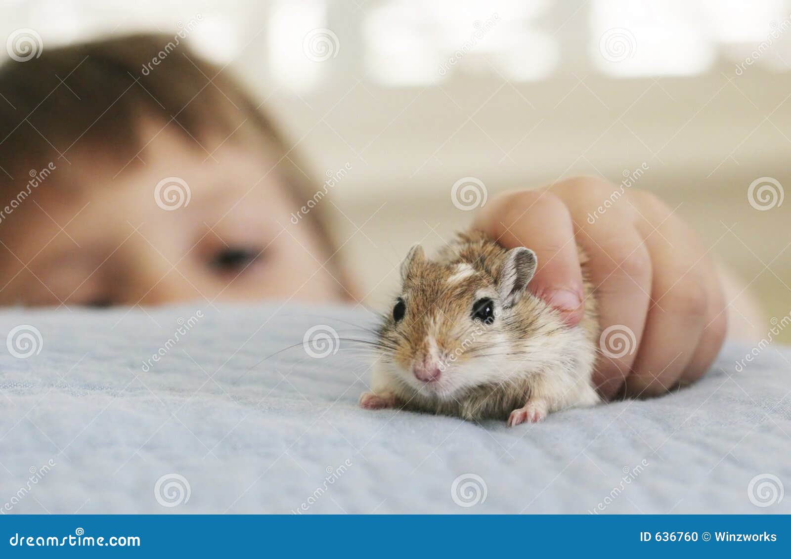 4,400 Mouse Friend Stock Photos - Free & Royalty-Free Stock Photos from ...