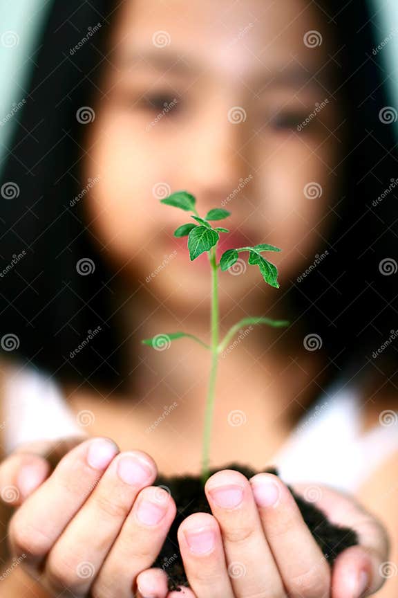 My future stock image. Image of agriculture, plant, asian - 3715083