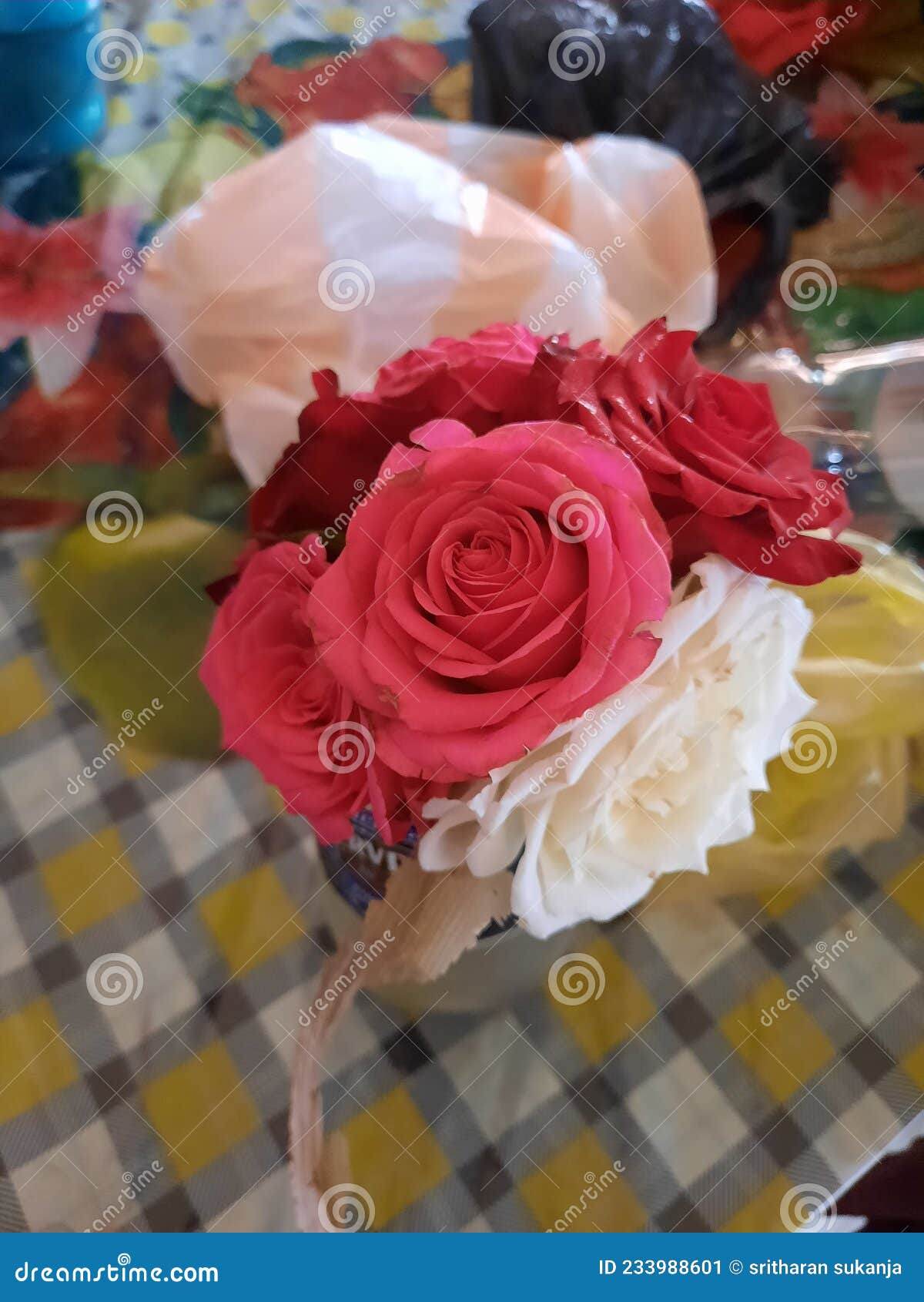 My Garden Rose Big Size Flowers Stock Image - Image of rose, bouquet ...