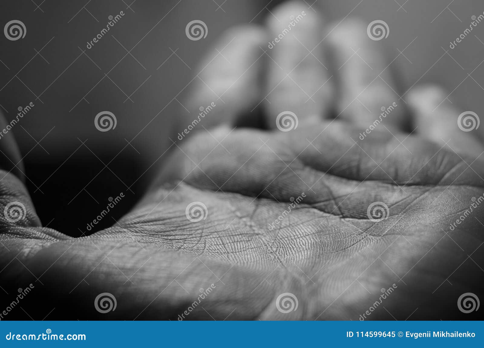 My hand and line of life stock image. Image of line - 114599645