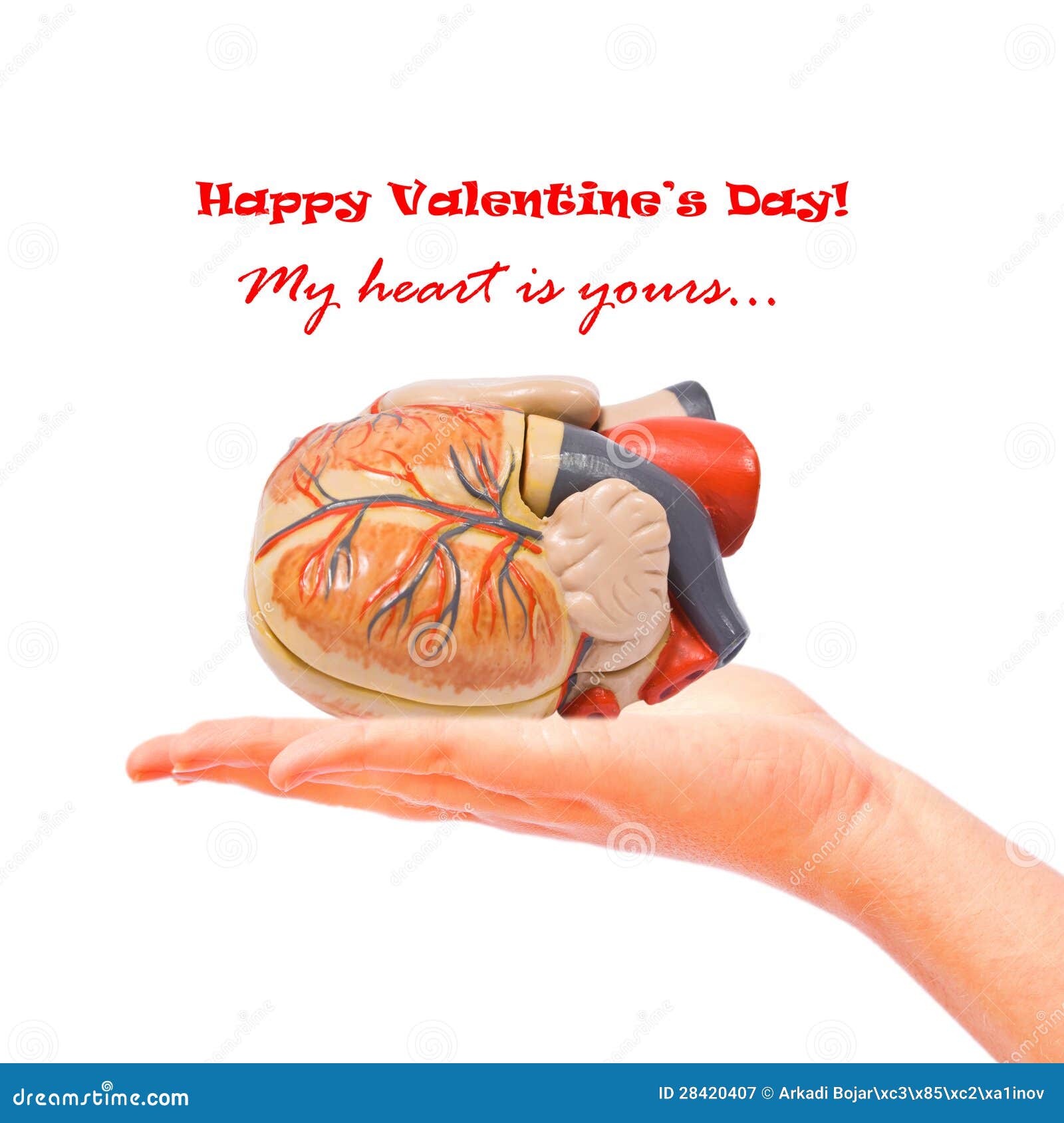 My heart is yours stock image. Image of holding, postcard - 28420407 My heart is yours stock image. Image of holding, postcard - 28420407