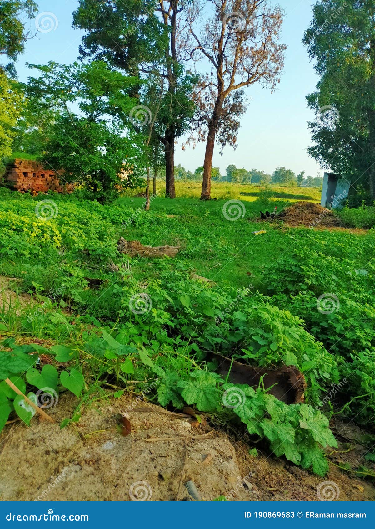 Bell Peepol Stock Photos - Free & Royalty-Free Stock Photos from Dreamstime