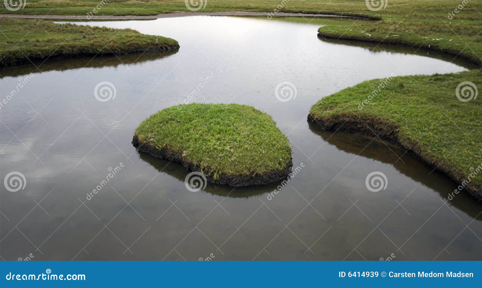 My Island Close-Up stock image. Image of environment, water - 6414939