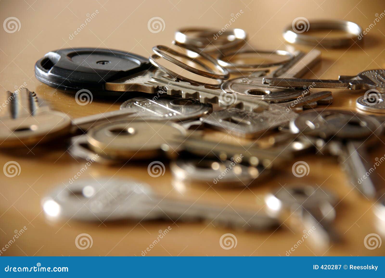 My keys stock image. Image of master, house, plenty, skeleton - 420287