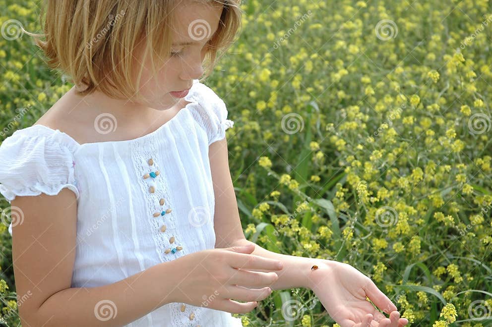 My Lady Bug stock photo. Image of delicate, females, innocent - 2234228