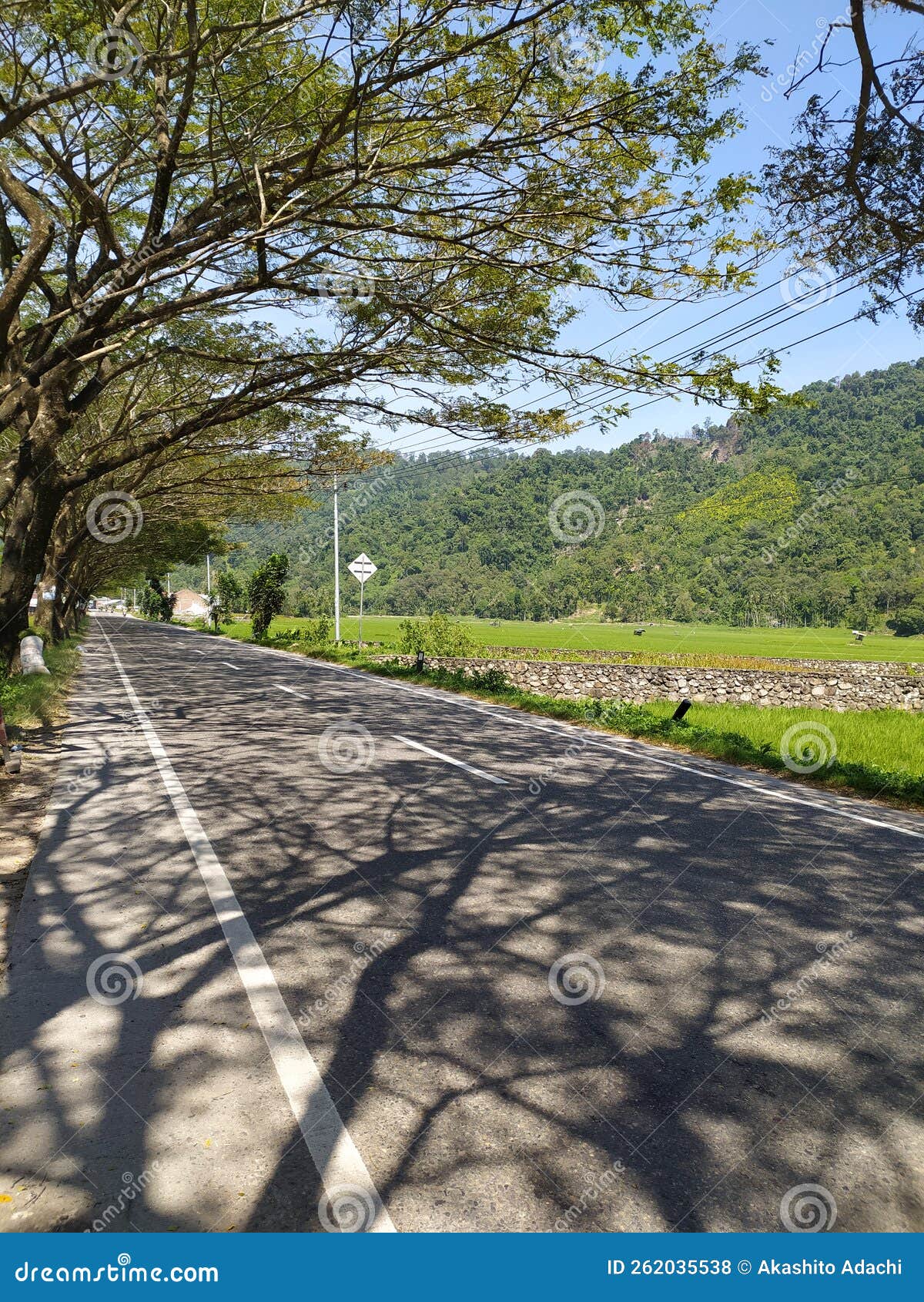 My Last Road in the End of Year Stock Photo - Image of plant, flower ...