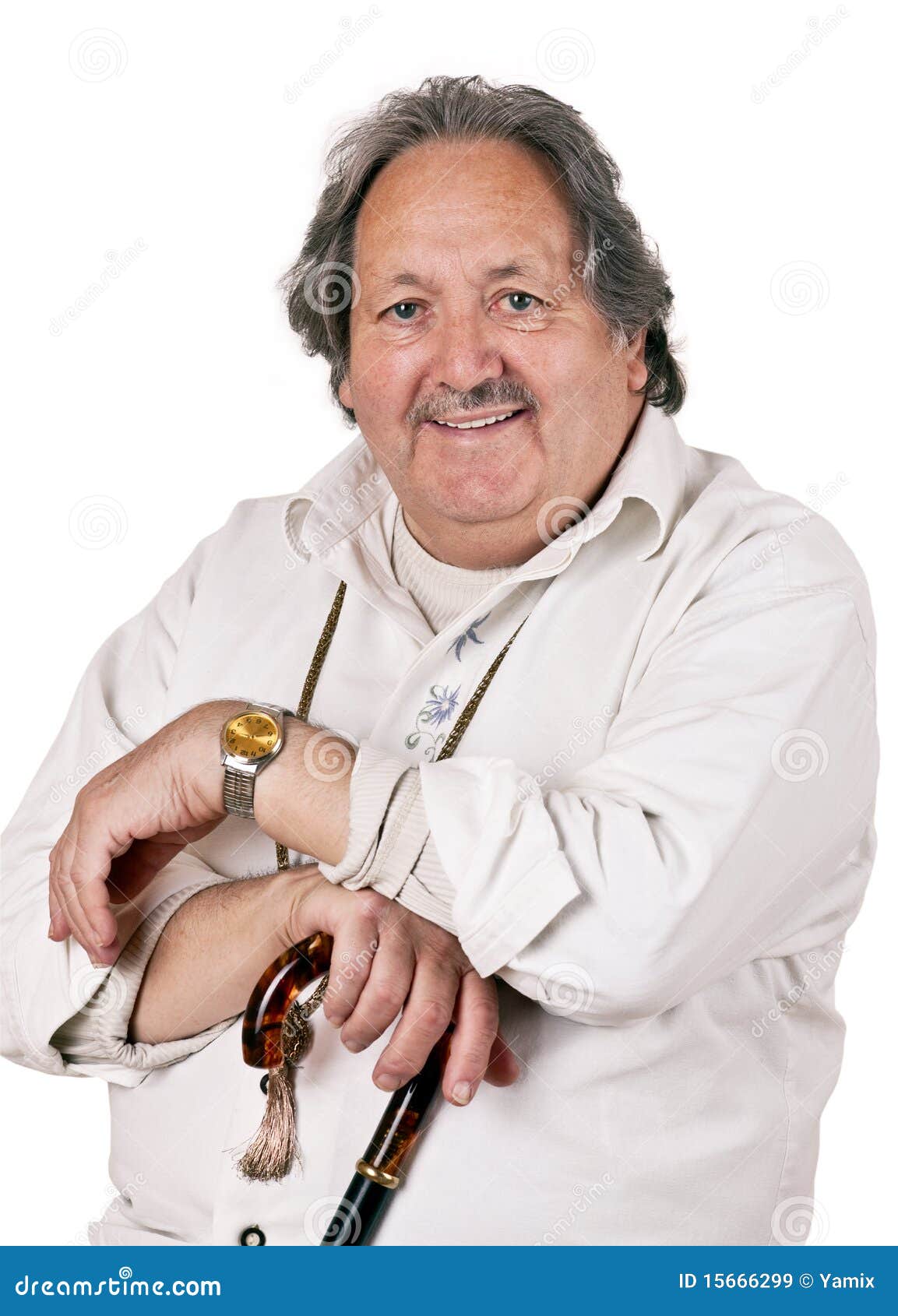 Upon My Life! Beautiful Old Man Stock Image - Image of hair, white ...