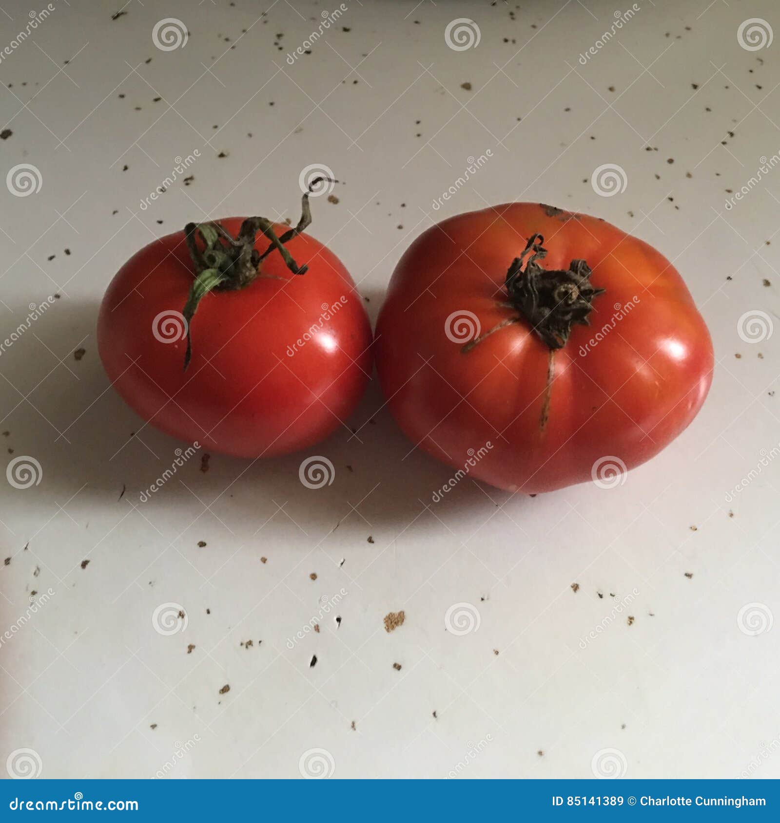 My Little Delicious Tomatoes Stock Image - Image of simply, delicious ...