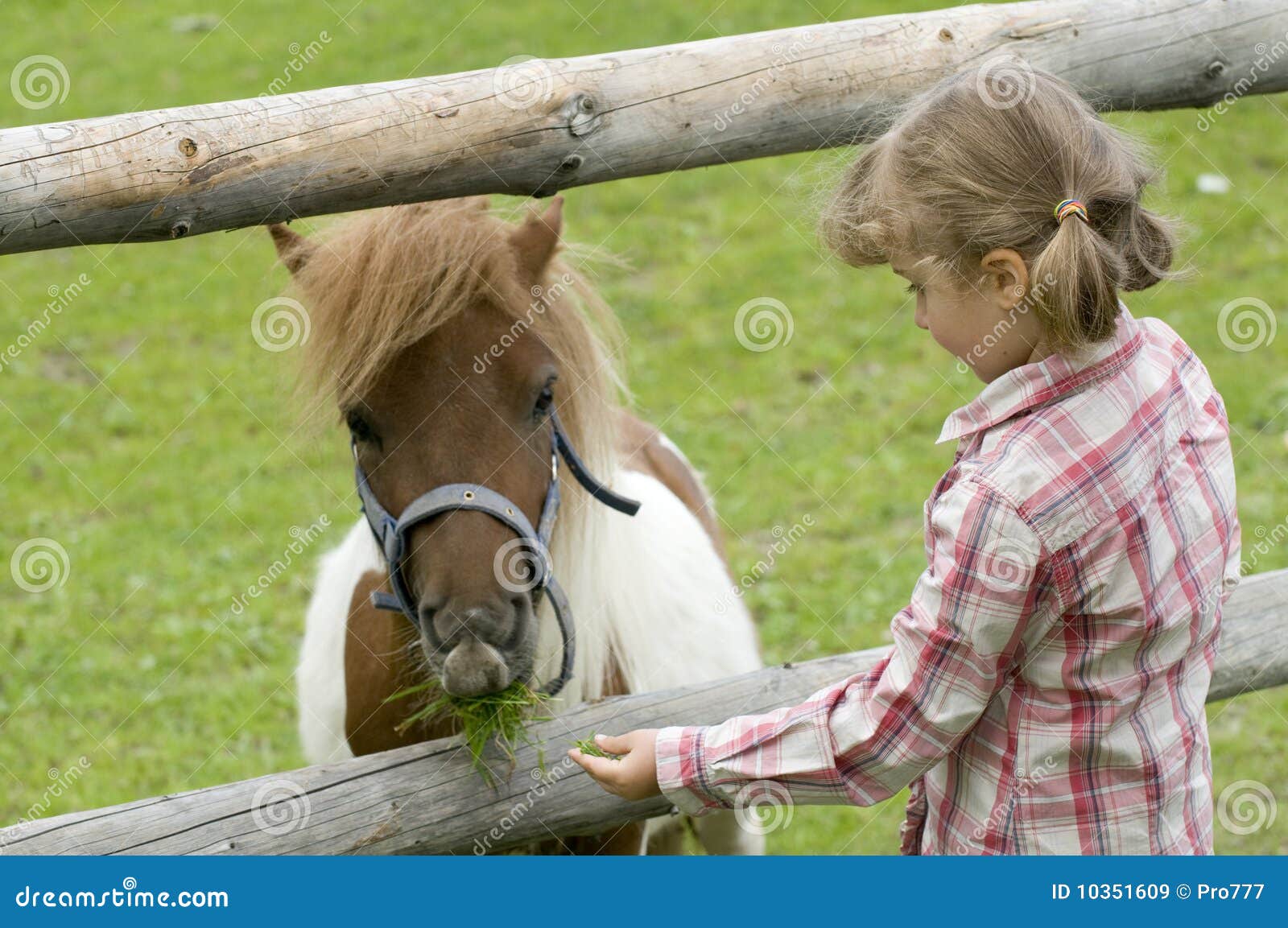 My little pony stock image. Image of pretty, friendship - 10351609