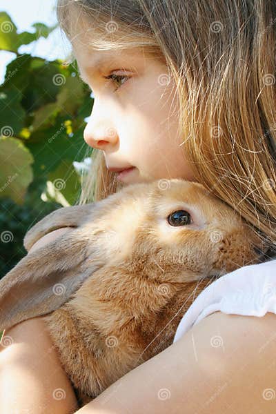 My little rabbit stock image. Image of friends, rabbit - 25276467