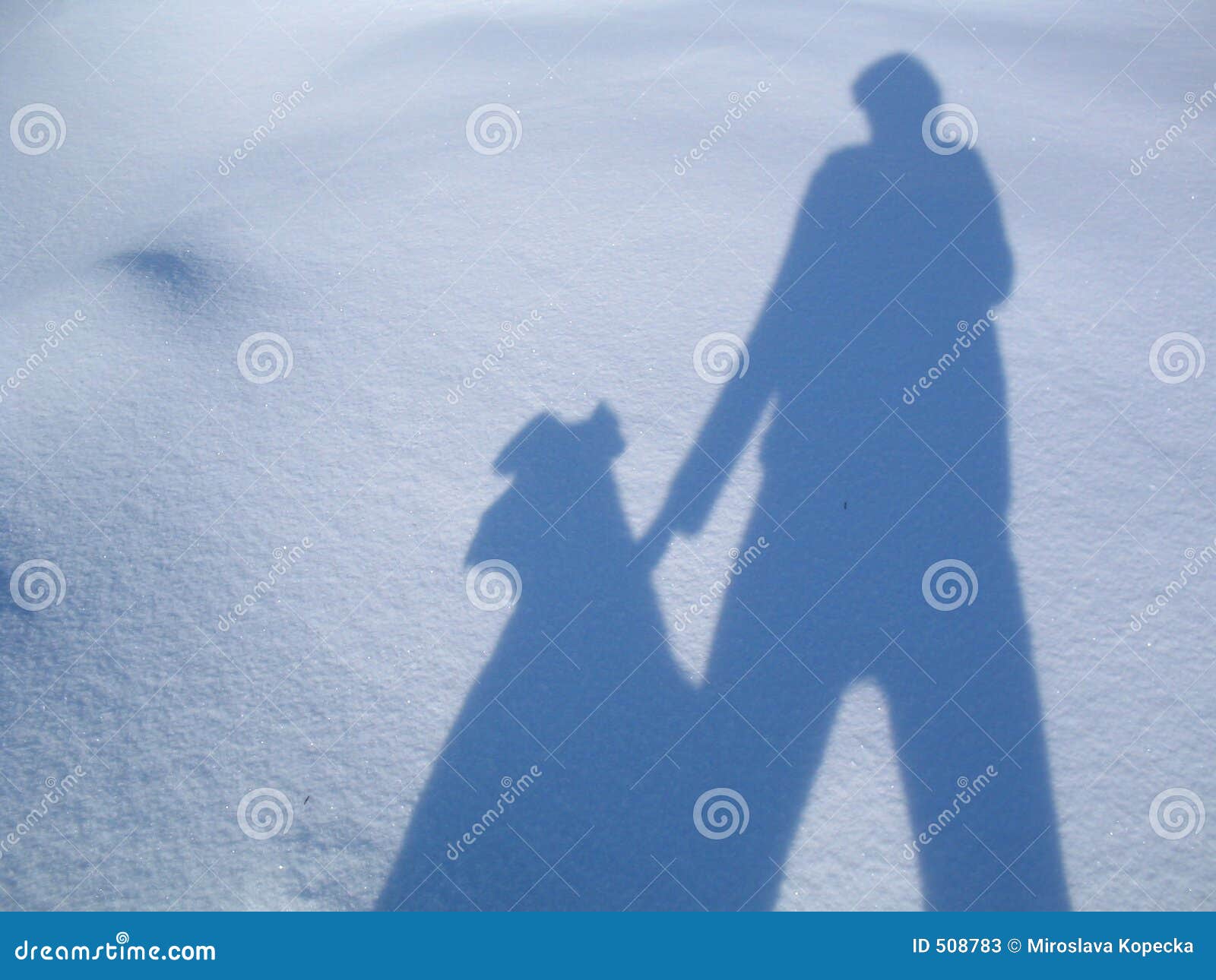 My and my dogÂ´s shadow stock image. Image of dark, friends - 508783