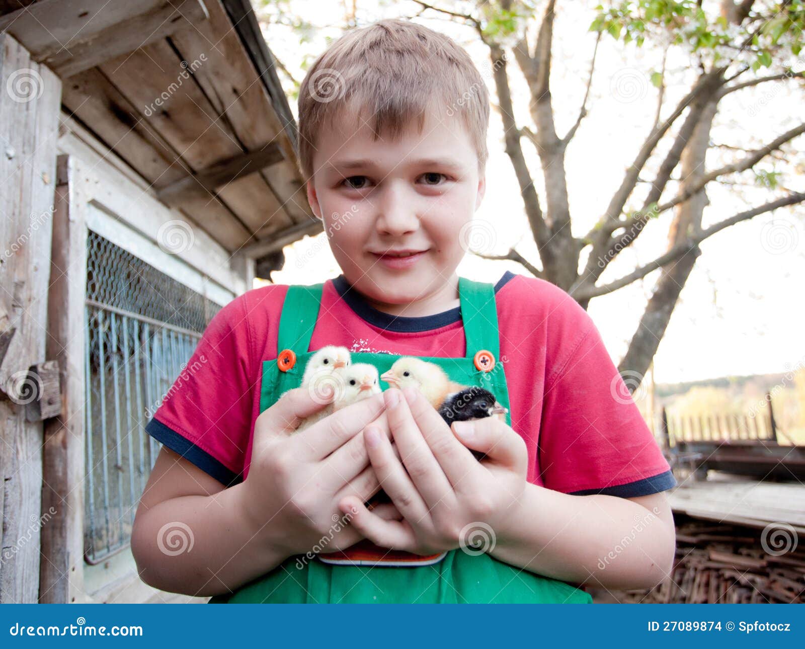 My new best friends stock photo. Image of farmyard, female - 27089874