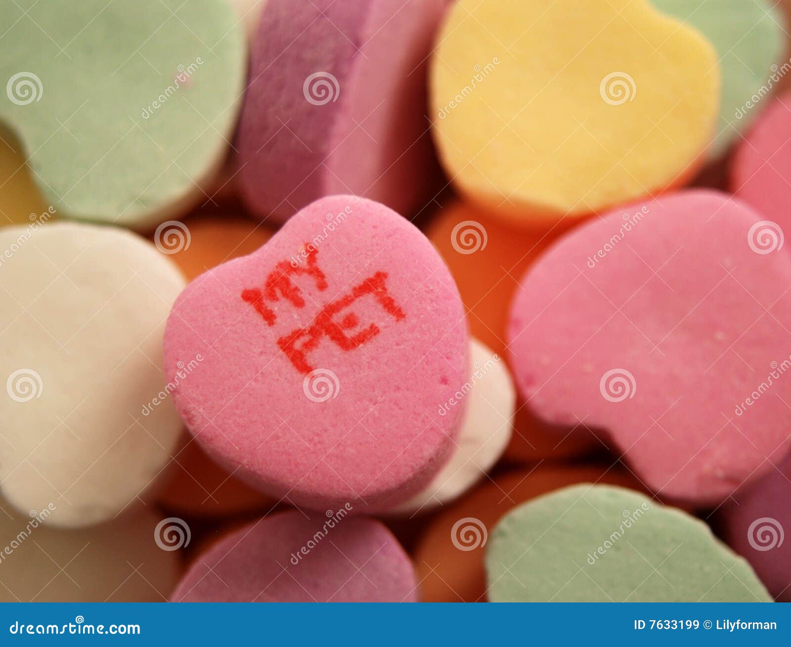 MY PET stock image. Image of unique, affection, romance - 7633199