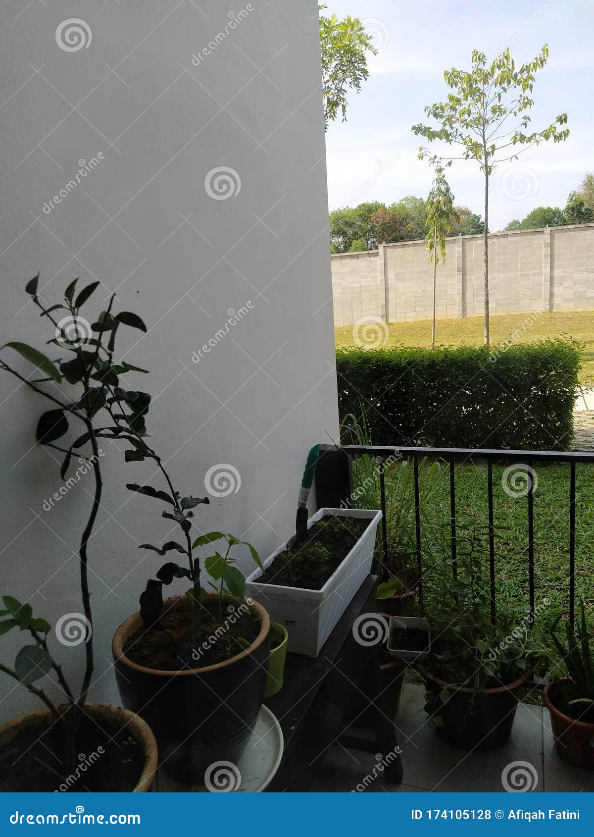 My Plants Every Weekend Simple Easy Stock Photo - Image of weekend ...