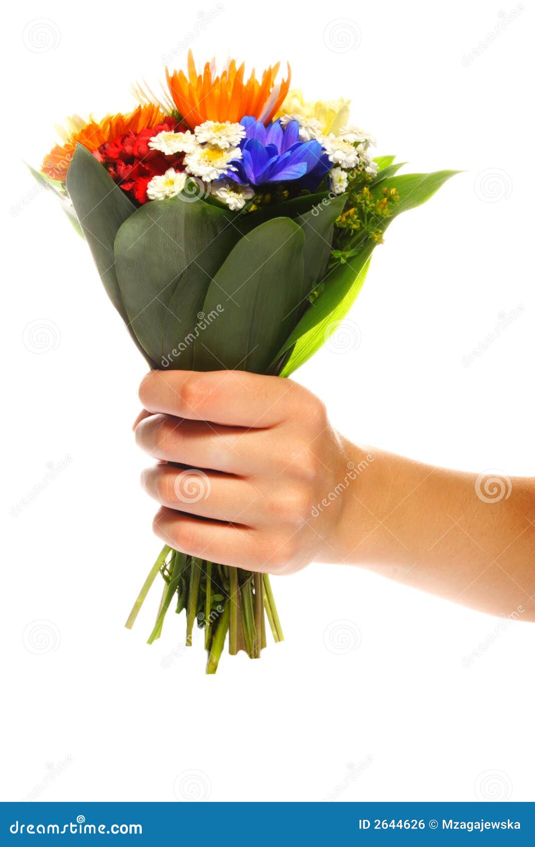 My present for you stock photo. Image of affection, gift - 2644626