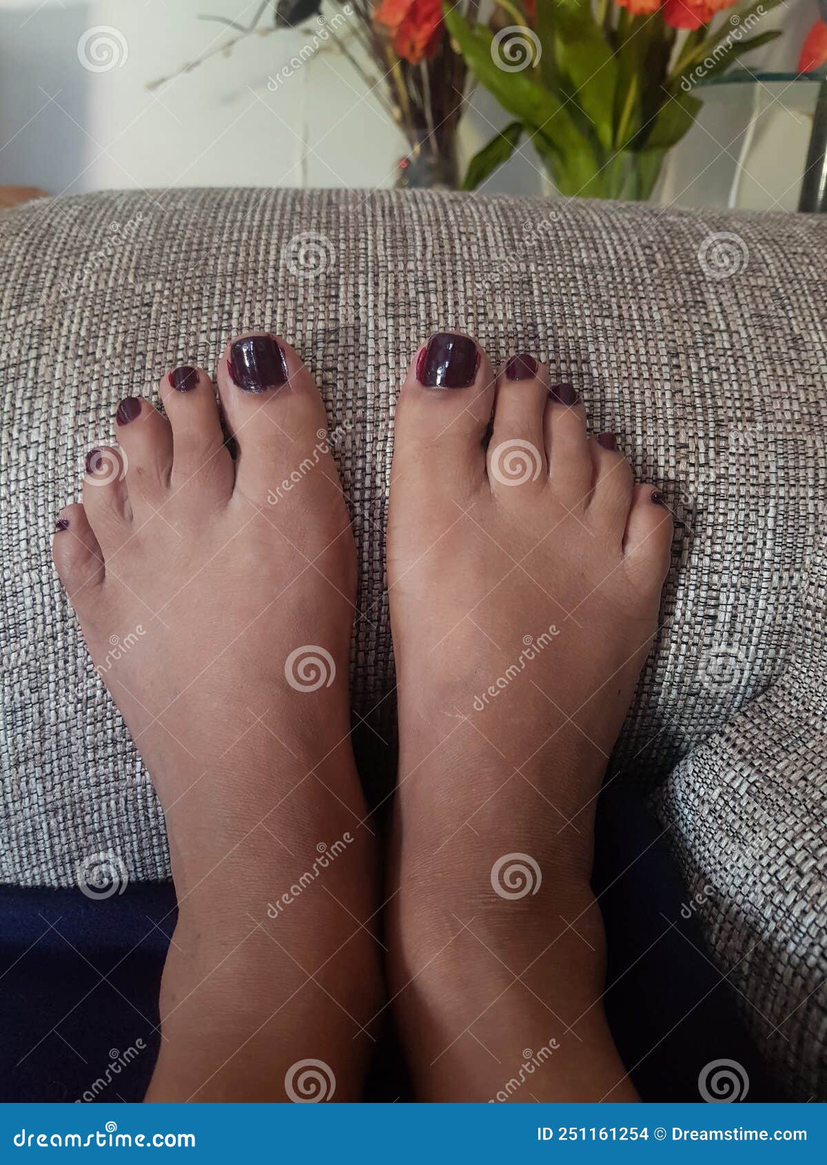 My pretty feet stock photo. Image of painted, toes, feet - 251161254