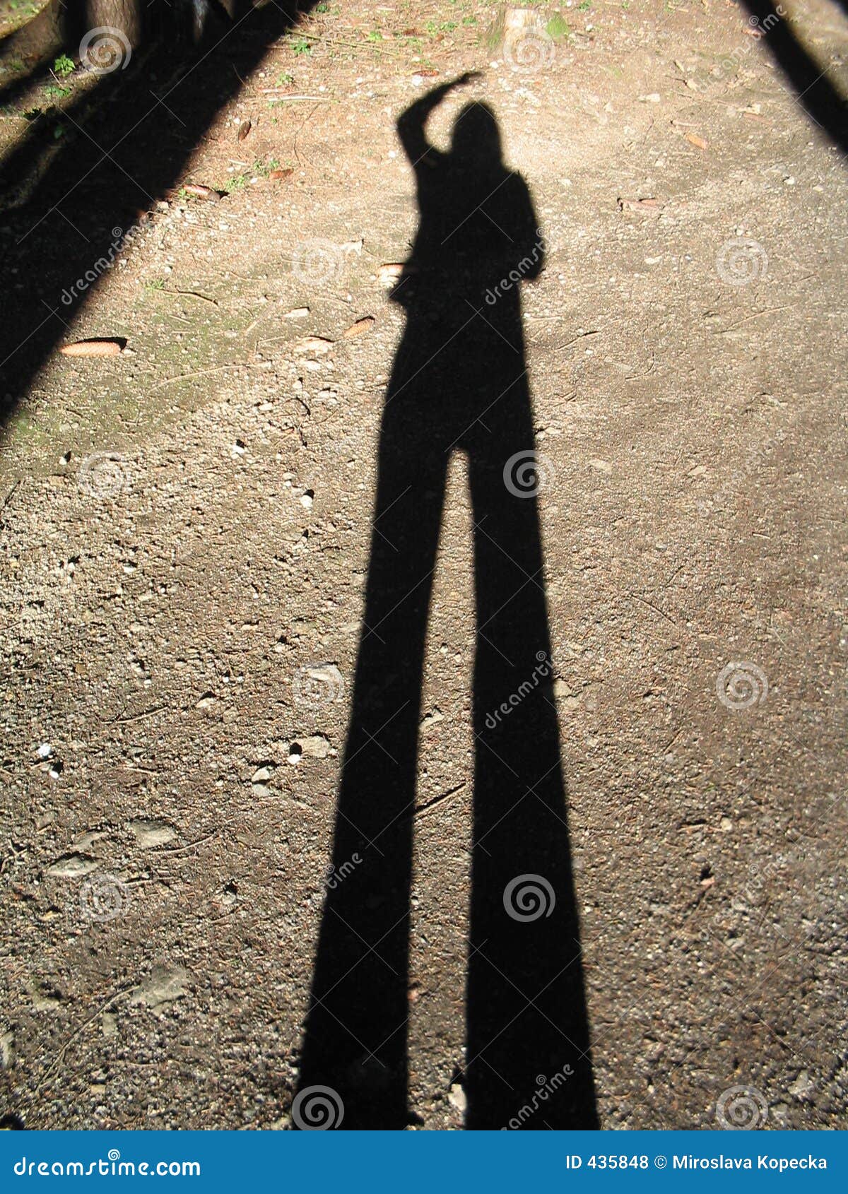My shadow stock photo. Image of autumn, light, earth, girl - 435848