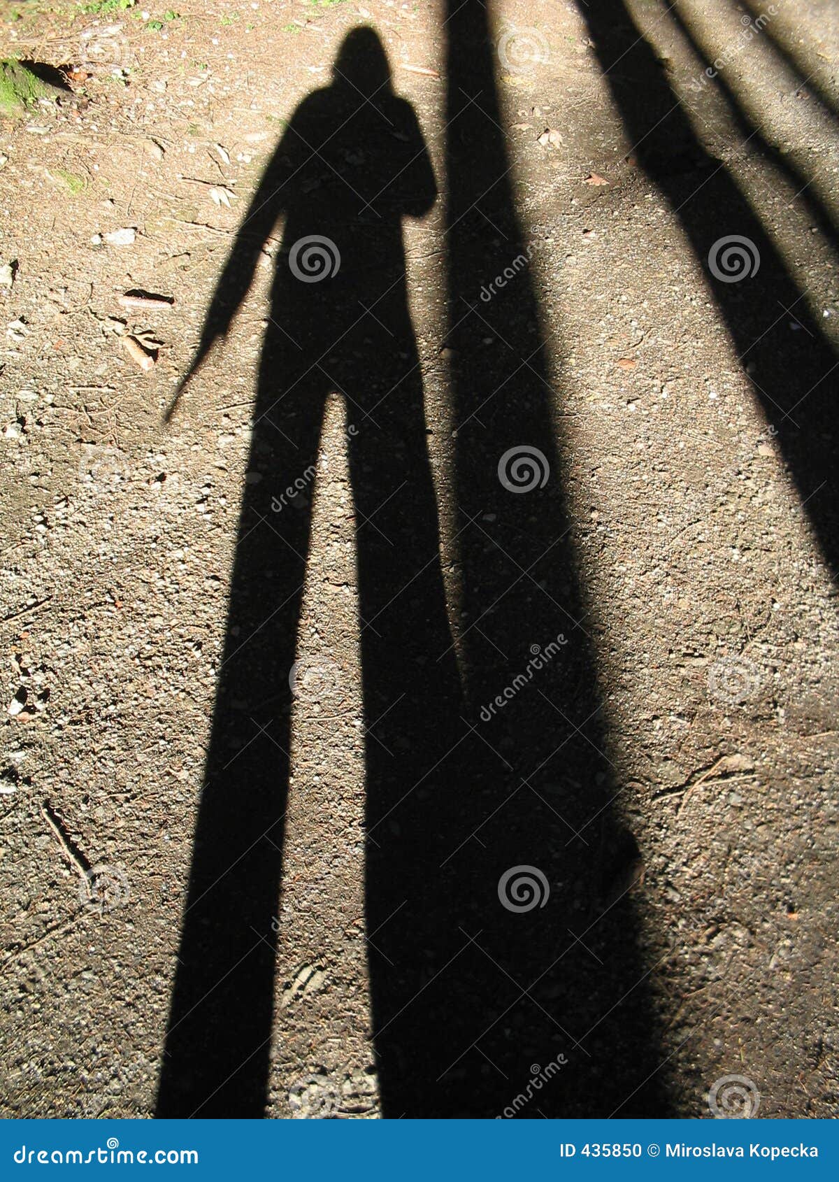 My shadow stock photo. Image of autumn, earth, legs, shadow - 435850