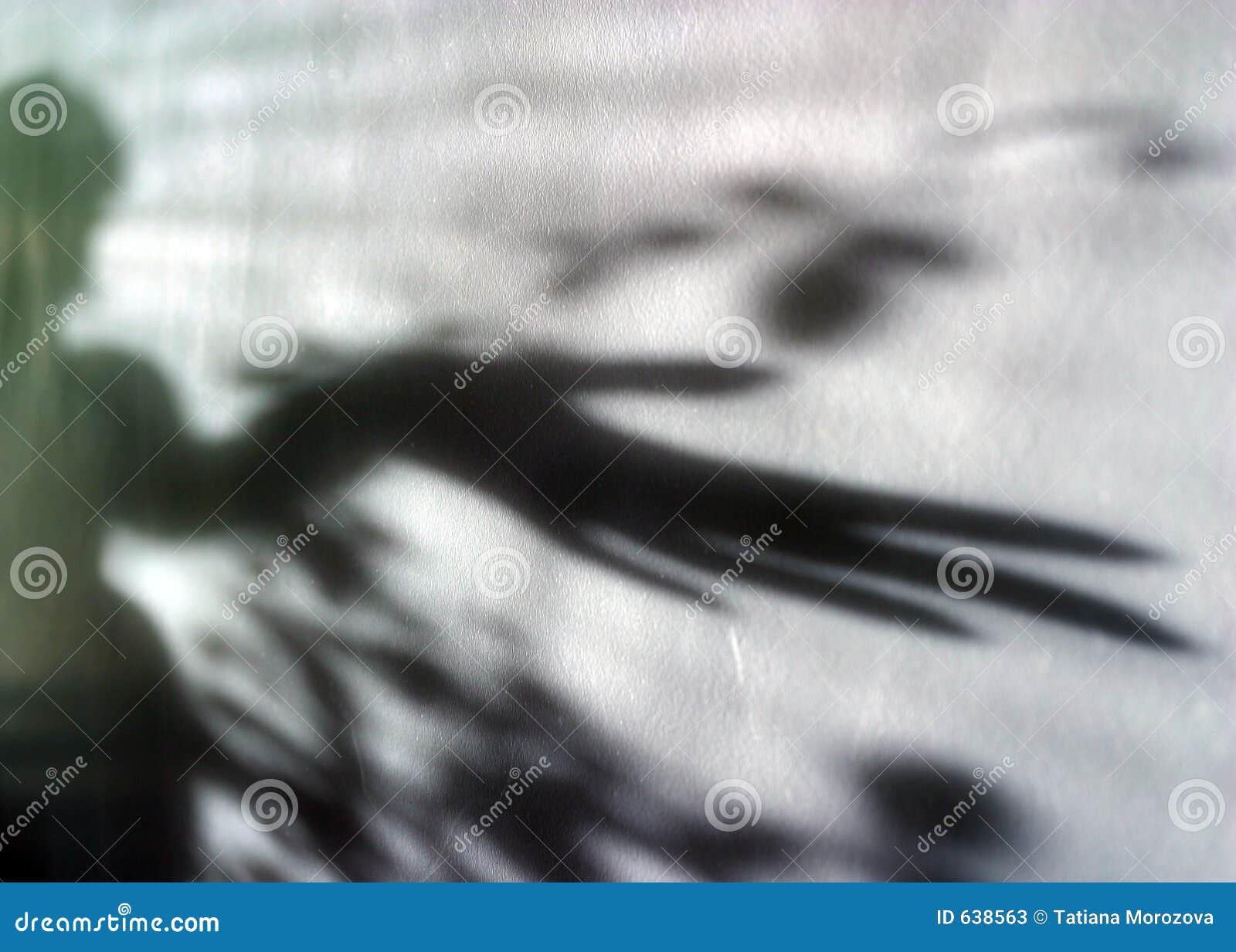 My Shadow stock image. Image of hands, mysticism, shade - 638563