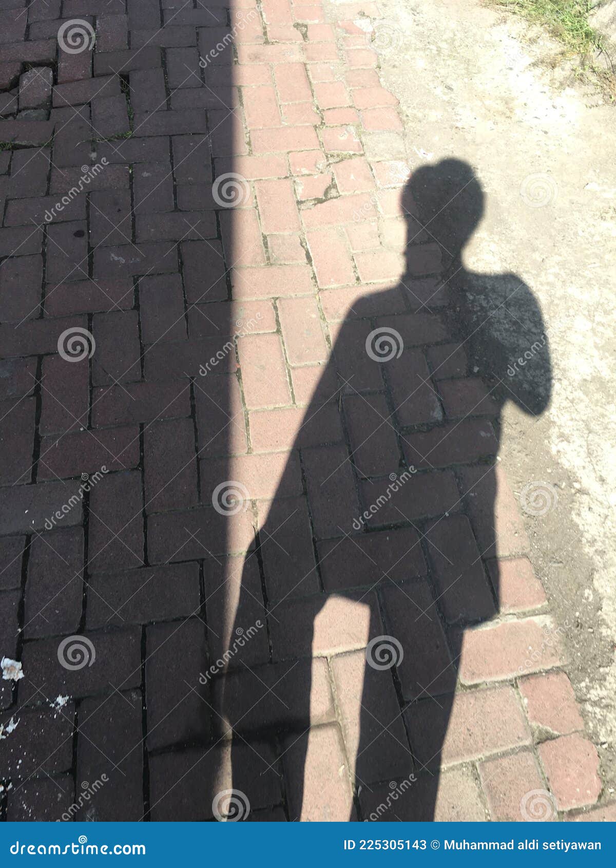 My shadow in the morning stock image. Image of shadow - 225305143