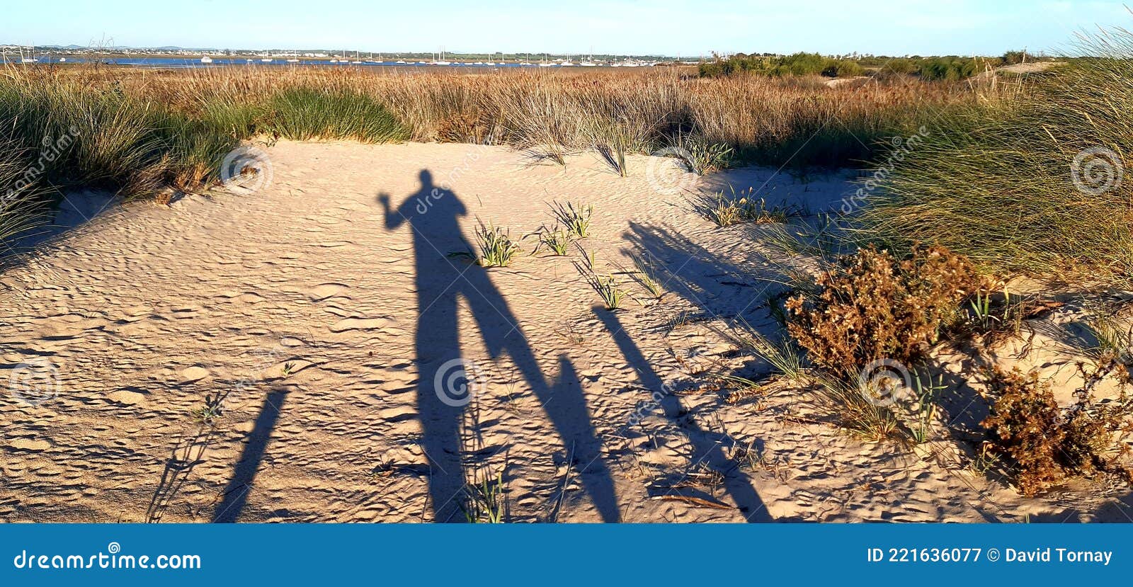 My Shadow on the Sand on the Beach. Stock Image - Image of young ...