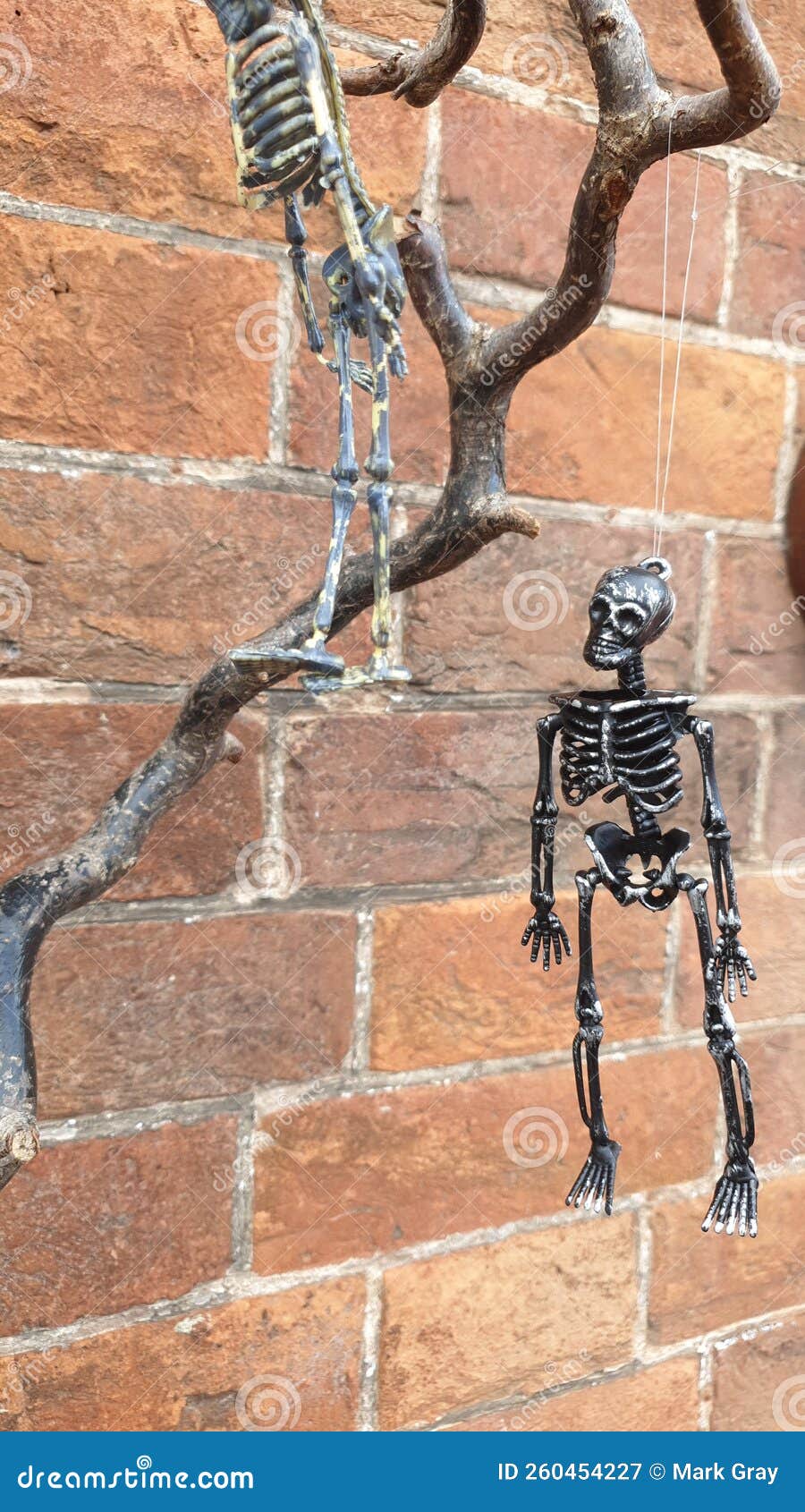 My silver skeletons editorial photography. Image of night - 260454227