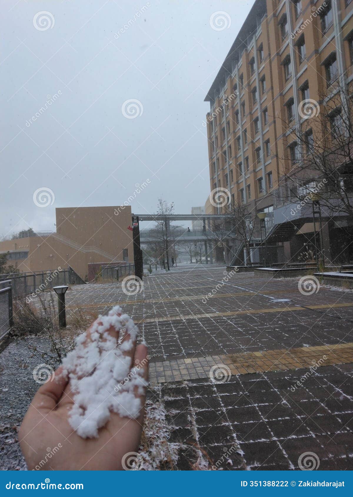Snow Time Black Car Have Accident Park On Road. Red Triangle, Red ...