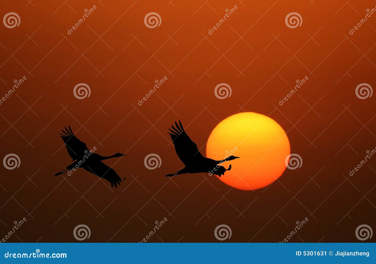 444 Poem Sun Stock Photos - Free & Royalty-Free Stock Photos from ...