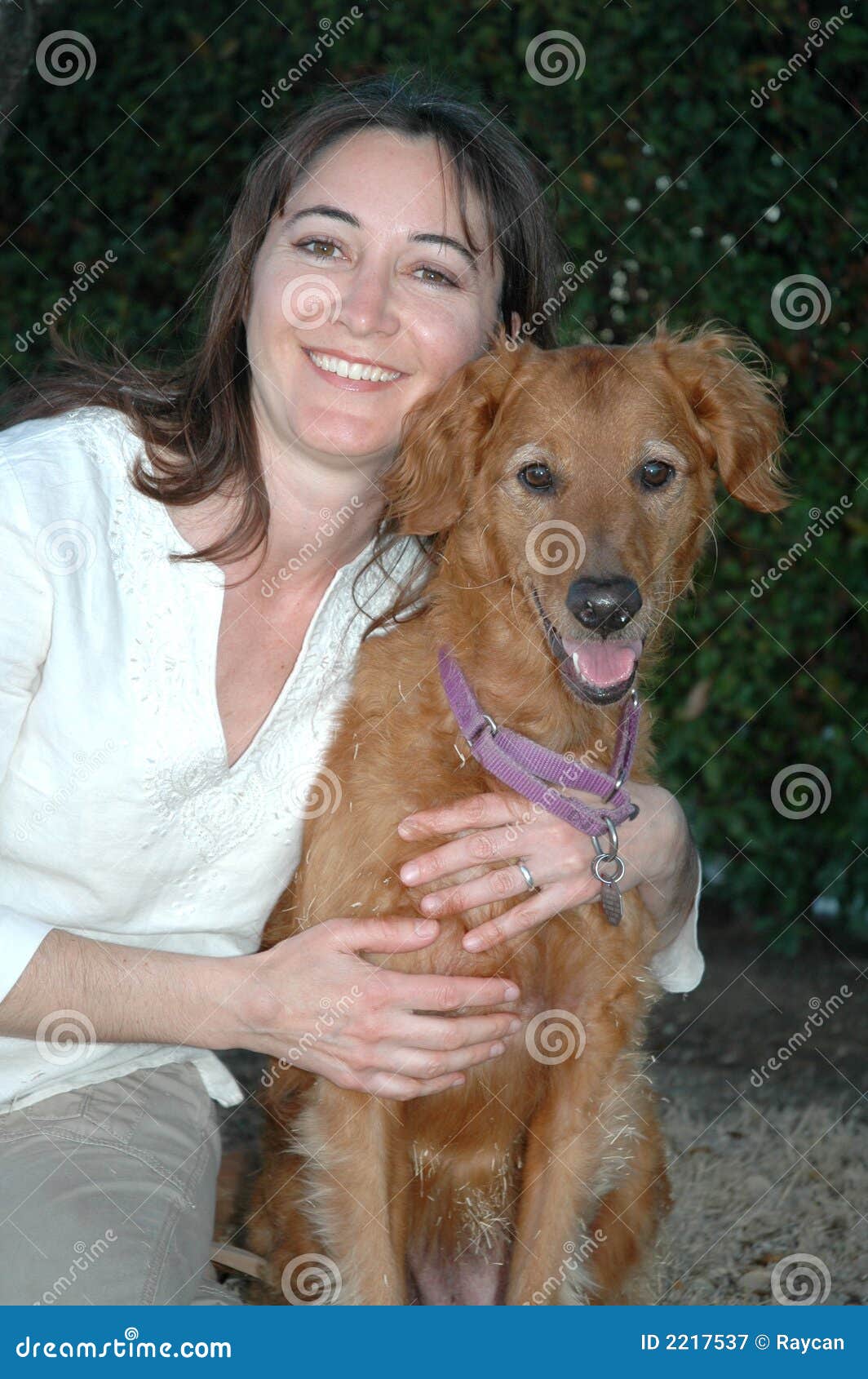 My Sweet Dog stock image. Image of playful, good, tickle - 2217537