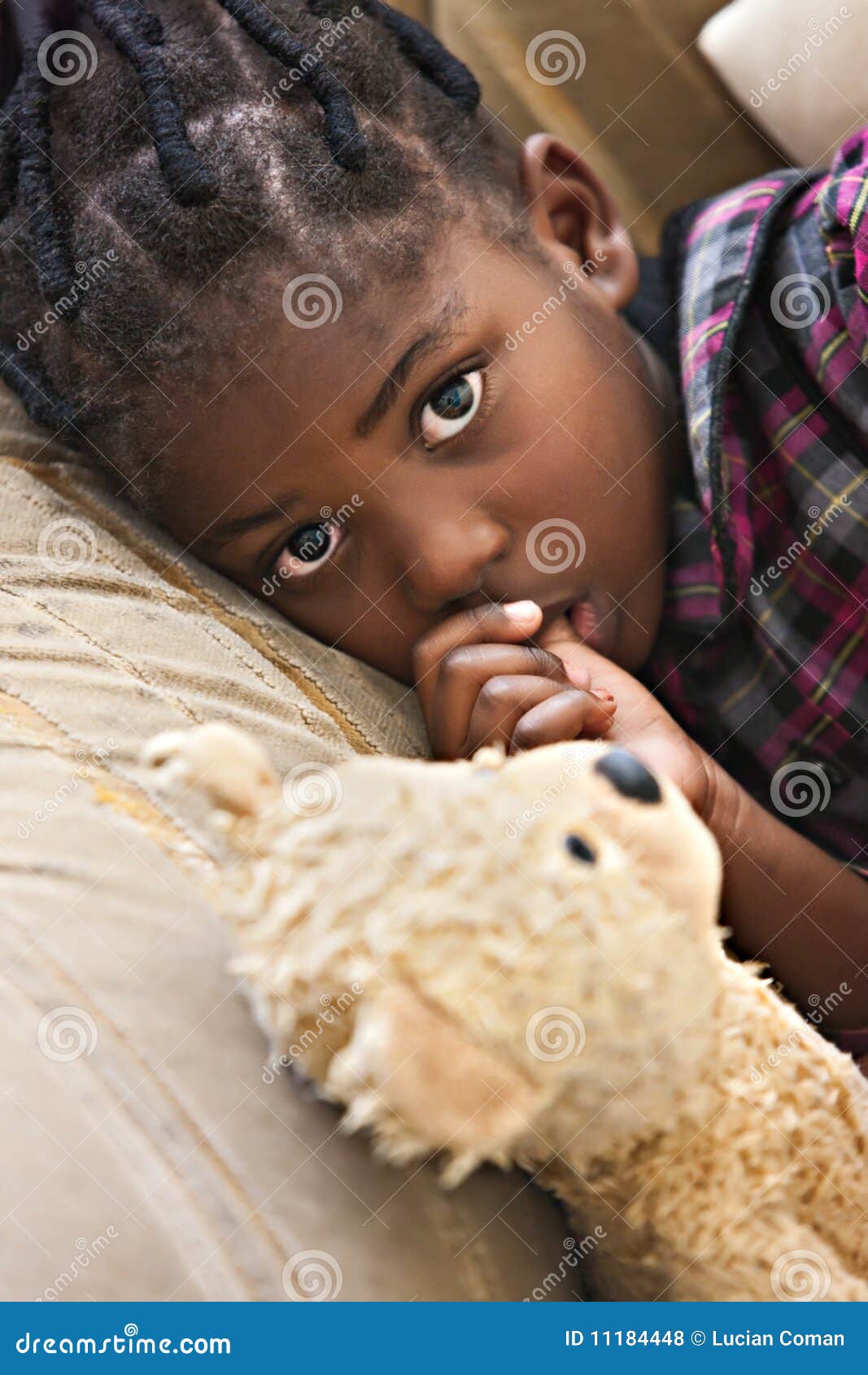 My teddy friend stock photo. Image of batswana, attractive - 11184448