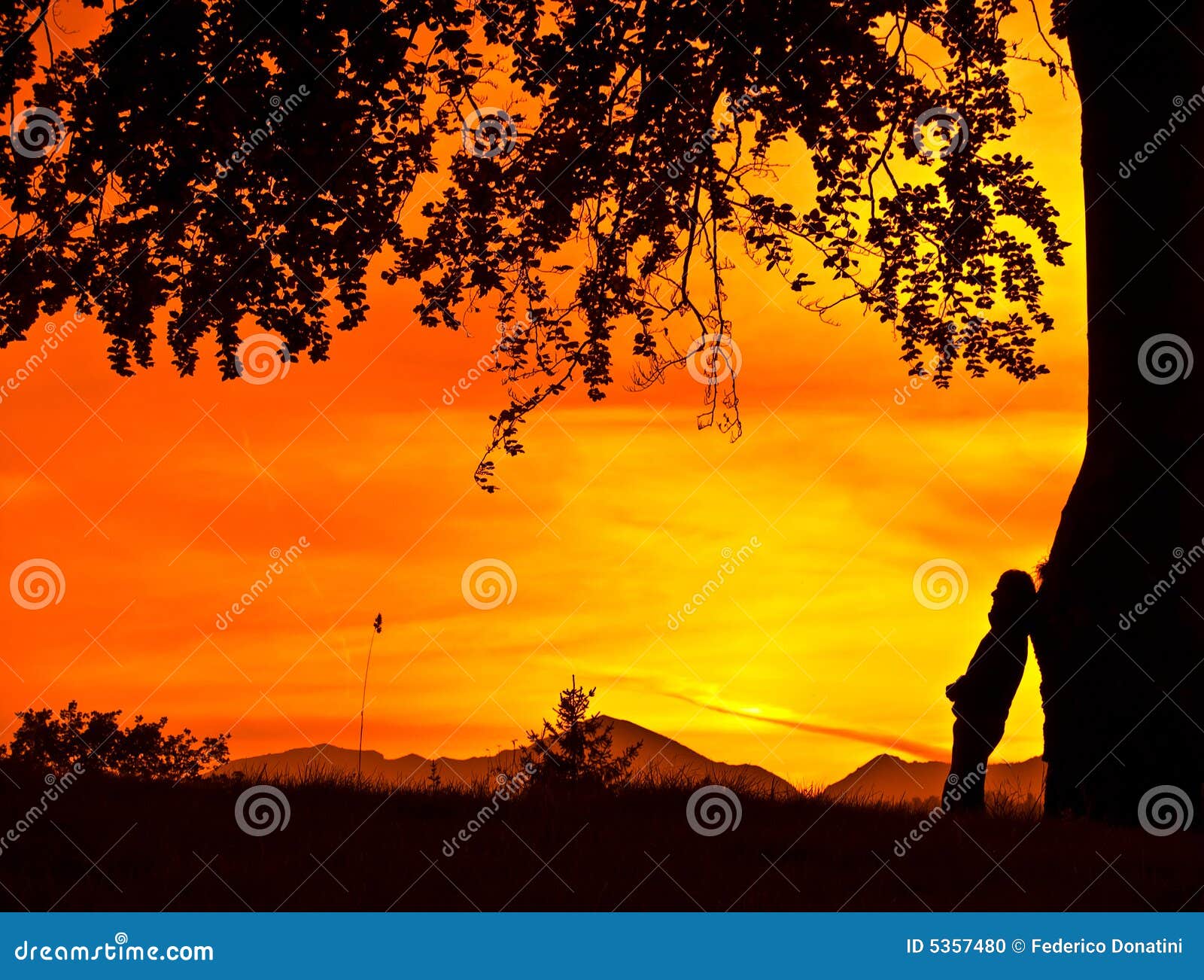With my thoughts... stock photo. Image of outdoor, nature - 5357480