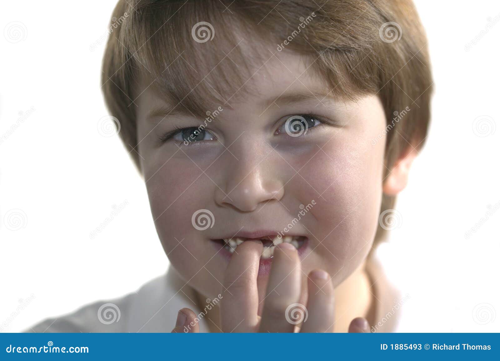 My two front teeth stock image. Image of grin, despair - 1885493