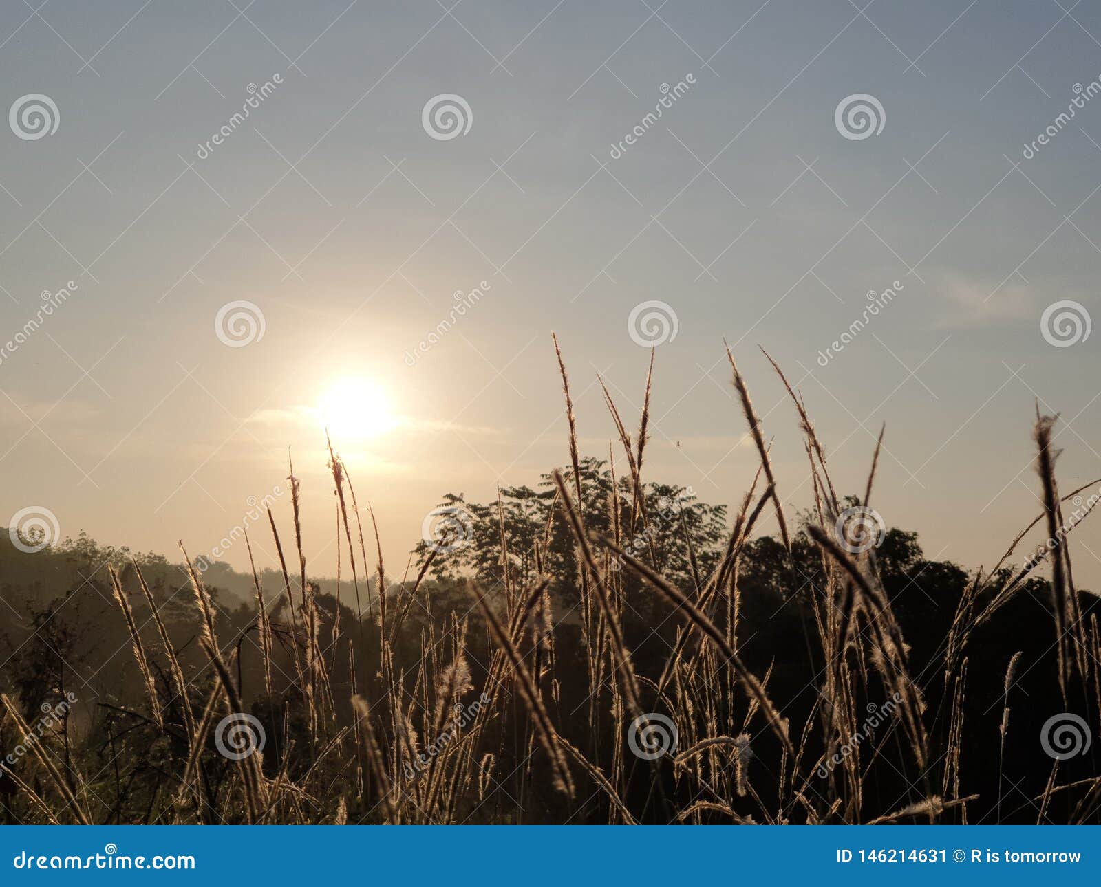 My warm morning stock image. Image of warm, sunrise - 146214631