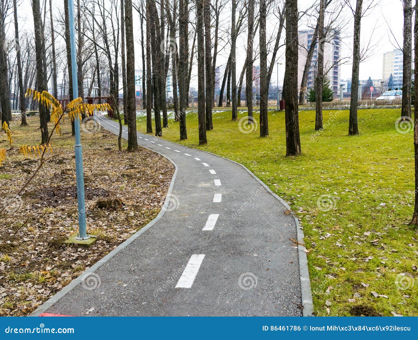 Early spring on the park stock photo. Image of shape - 86461786