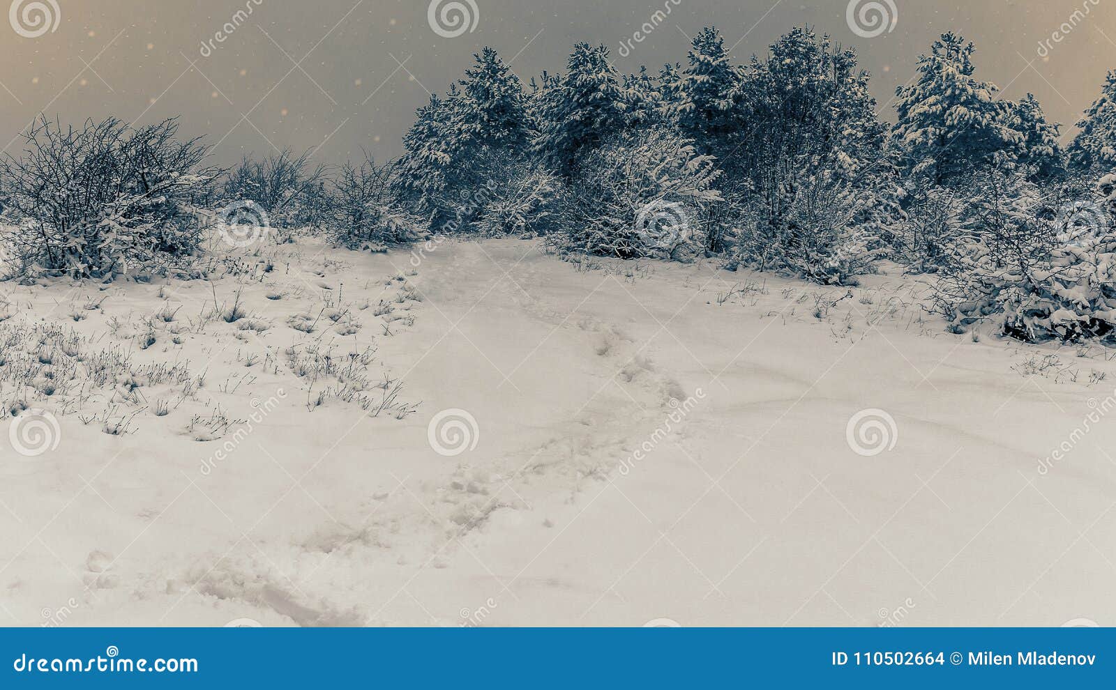 My winter feeling stock photo. Image of seasonal, nature - 110502664