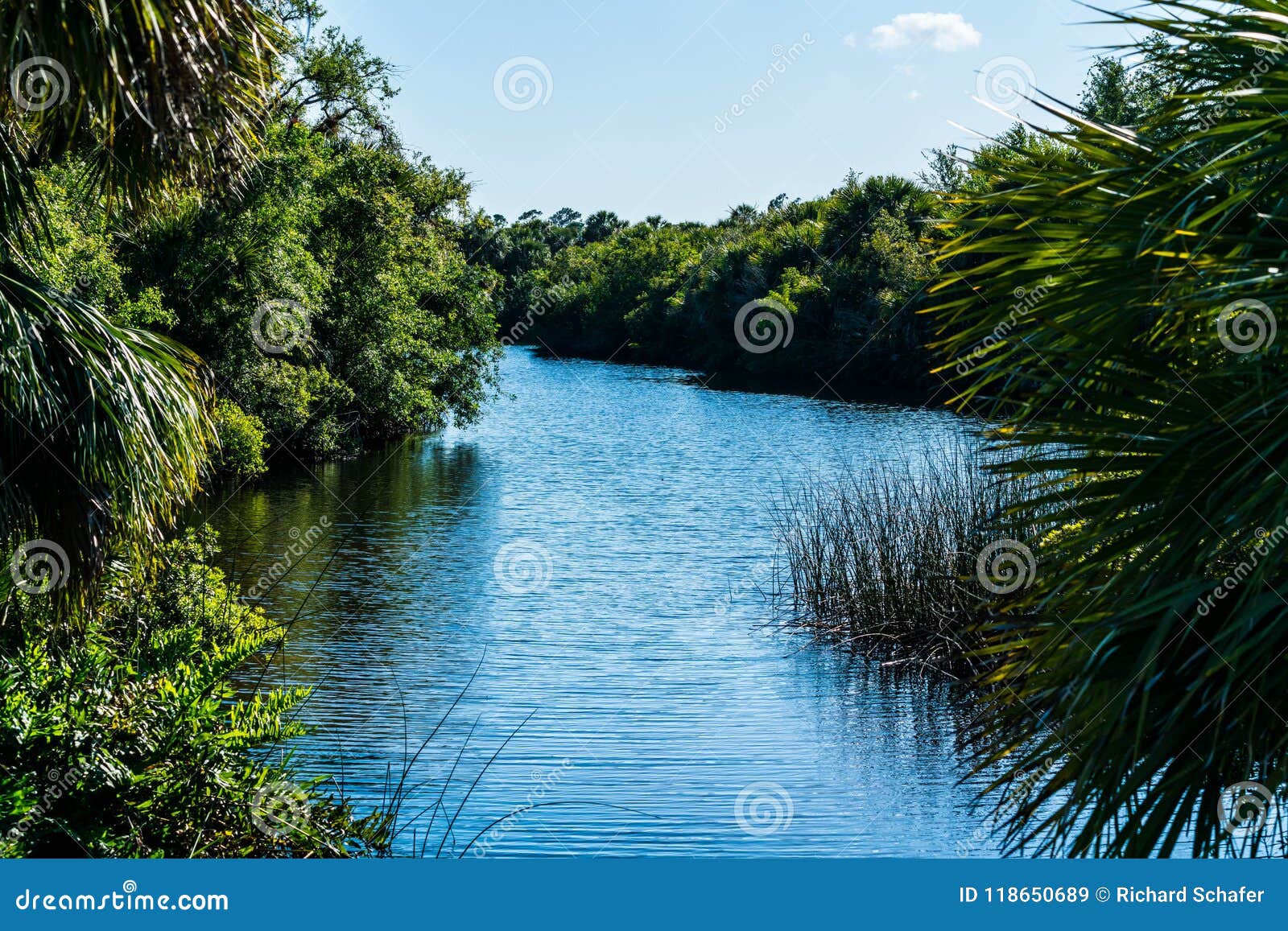 A Warm Spring Afternoon in Southwest Florida Stock Image - Image of ...