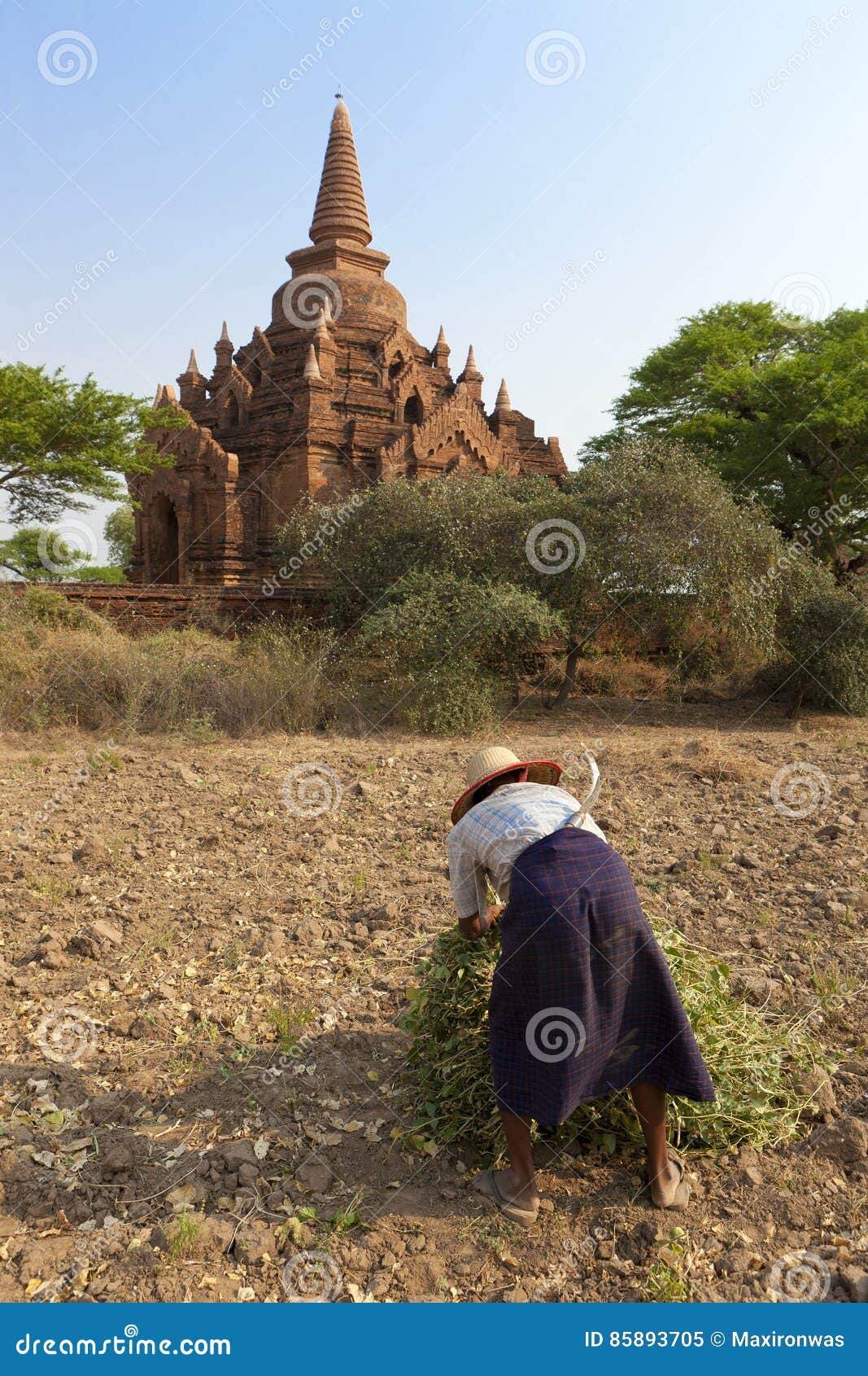 Myanmar - Bagan editorial image. Image of work, story - 85893705