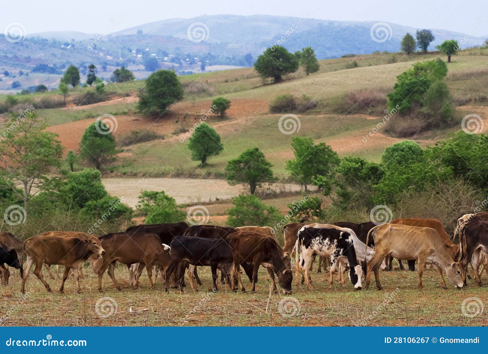 Myanmar countryside stock image. Image of countryside - 28106267