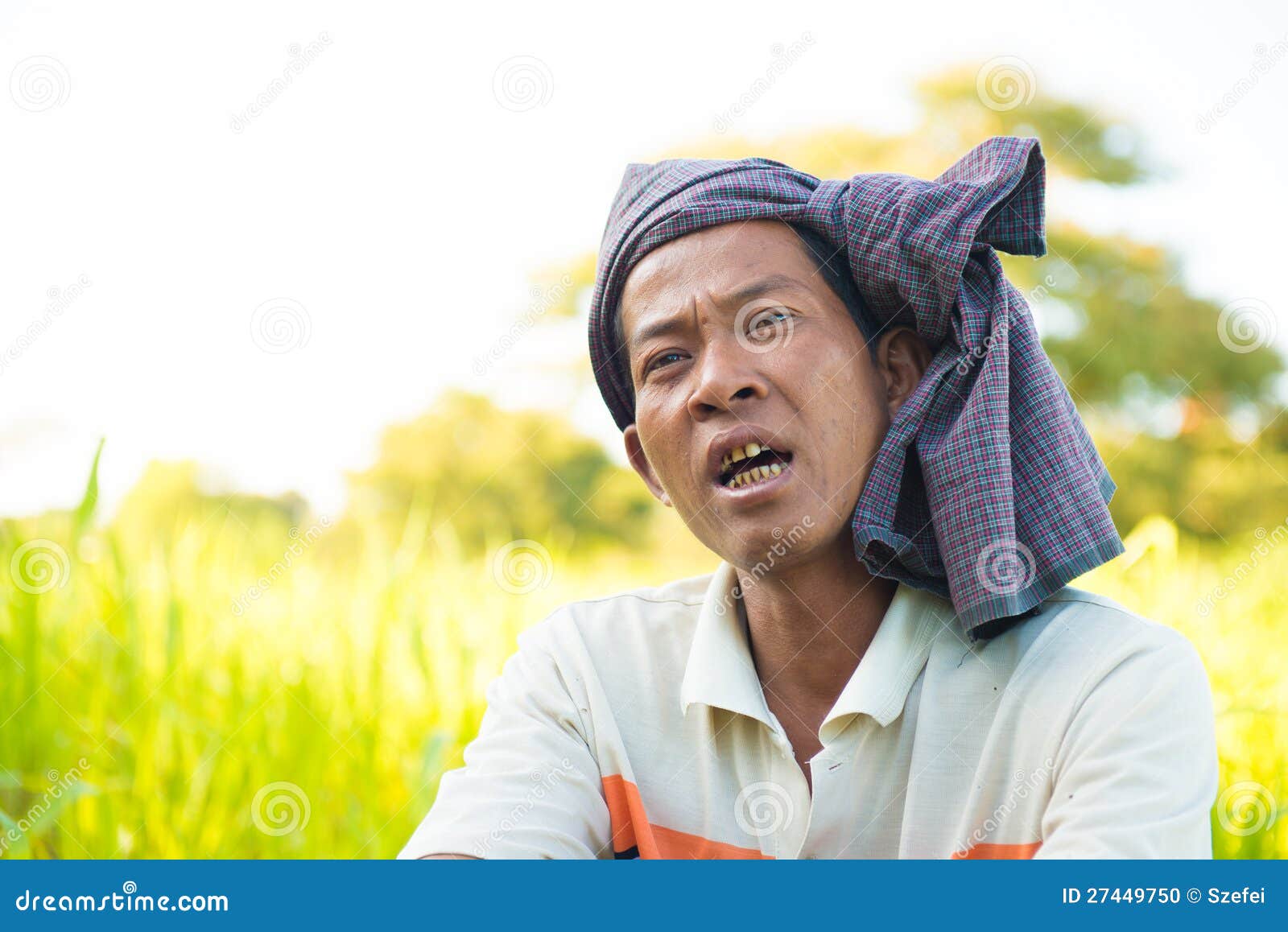 Myanmar man stock photo. Image of green, male, farm, grass - 27449750
