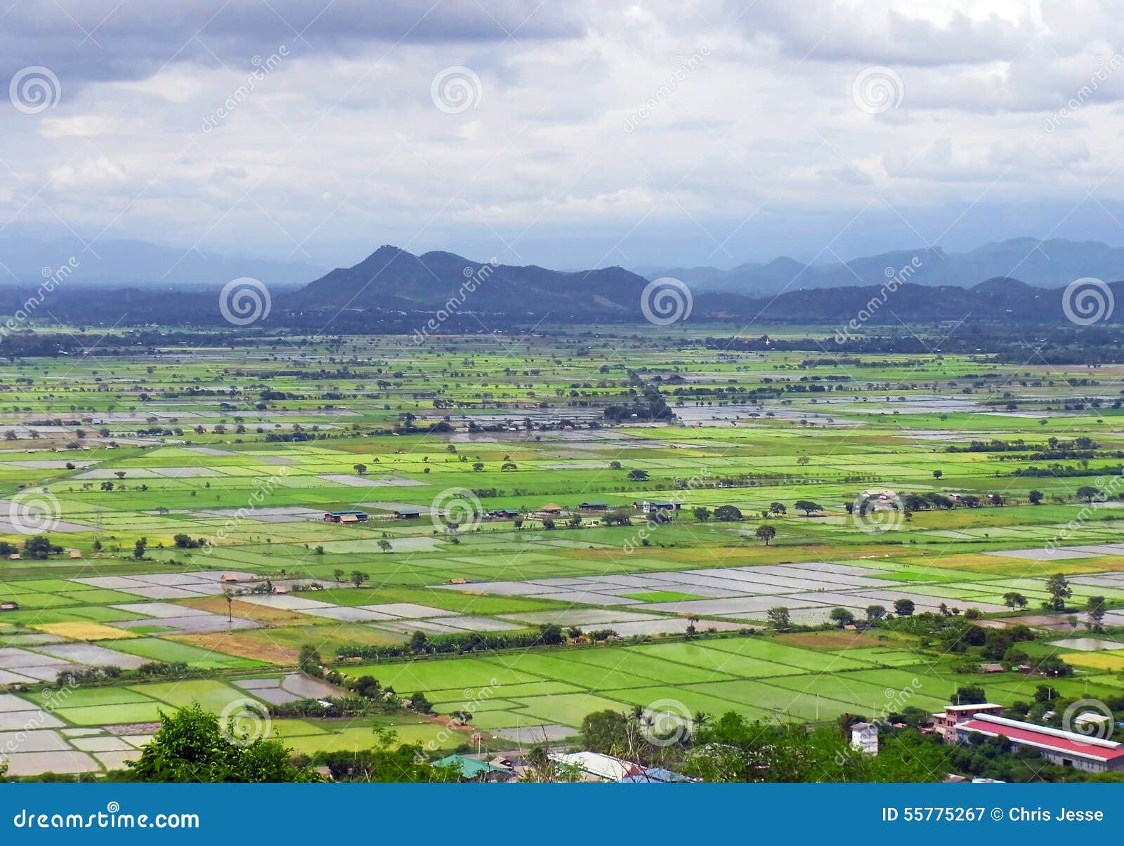 Myanmar Rice Fields stock image. Image of east, myanmar - 55775267