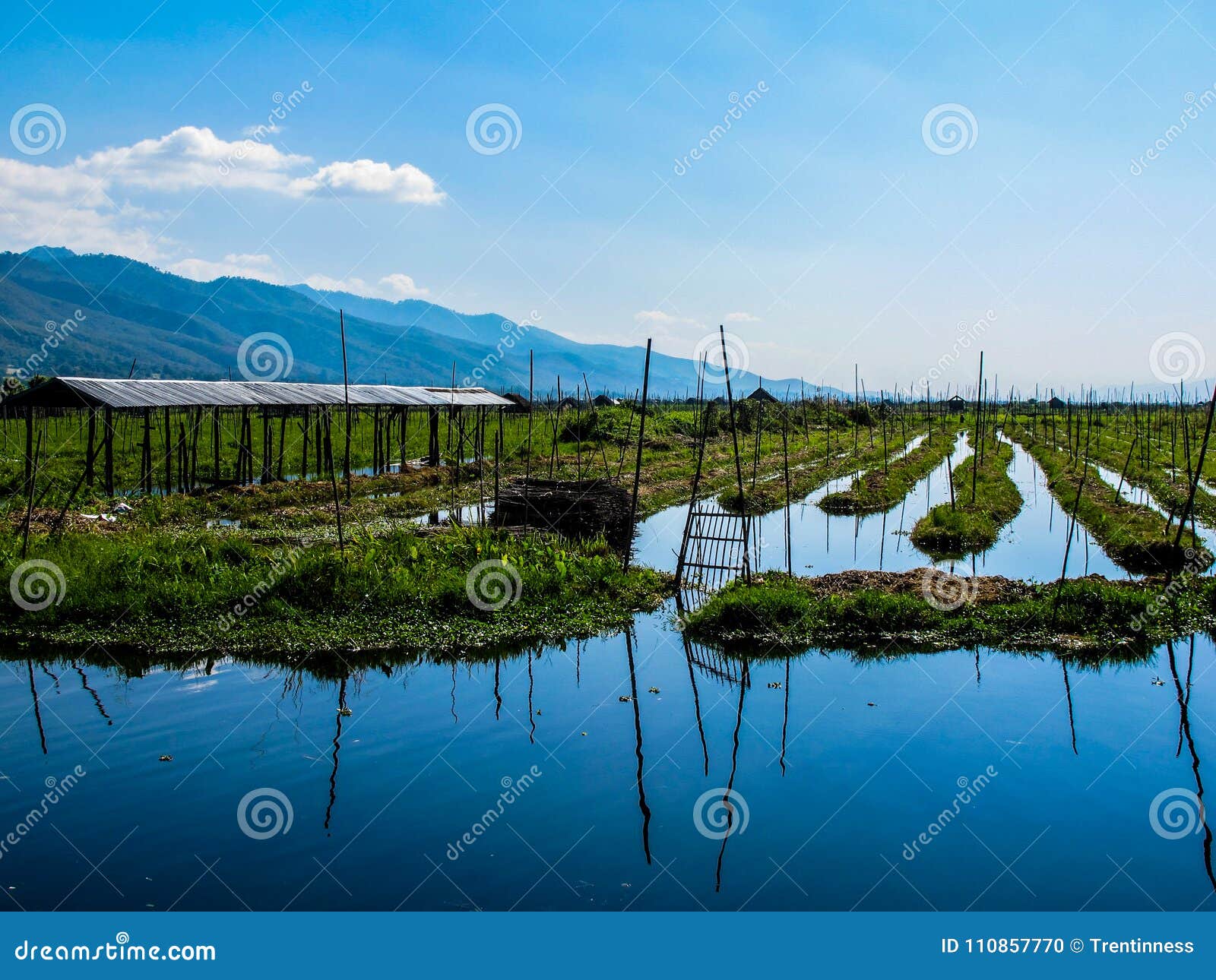 Myanmar in the summer editorial image. Image of temples - 110857770