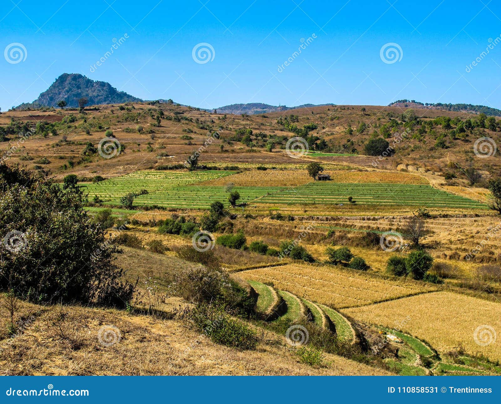 Myanmar in the summer stock image. Image of house, sunsets - 110858531