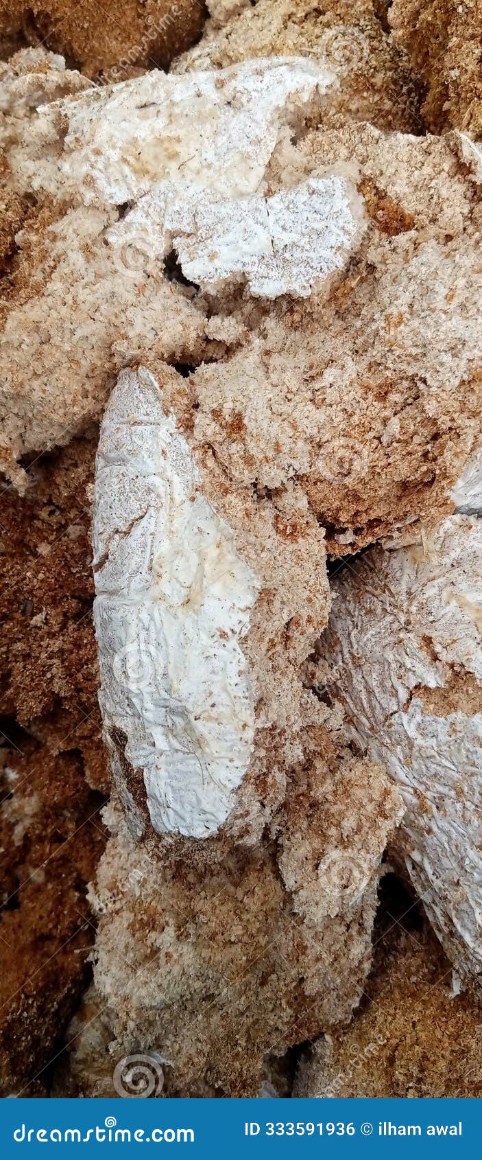 Sawdust Or Wood Dust Texture Background. Wood Sawdust Background ...