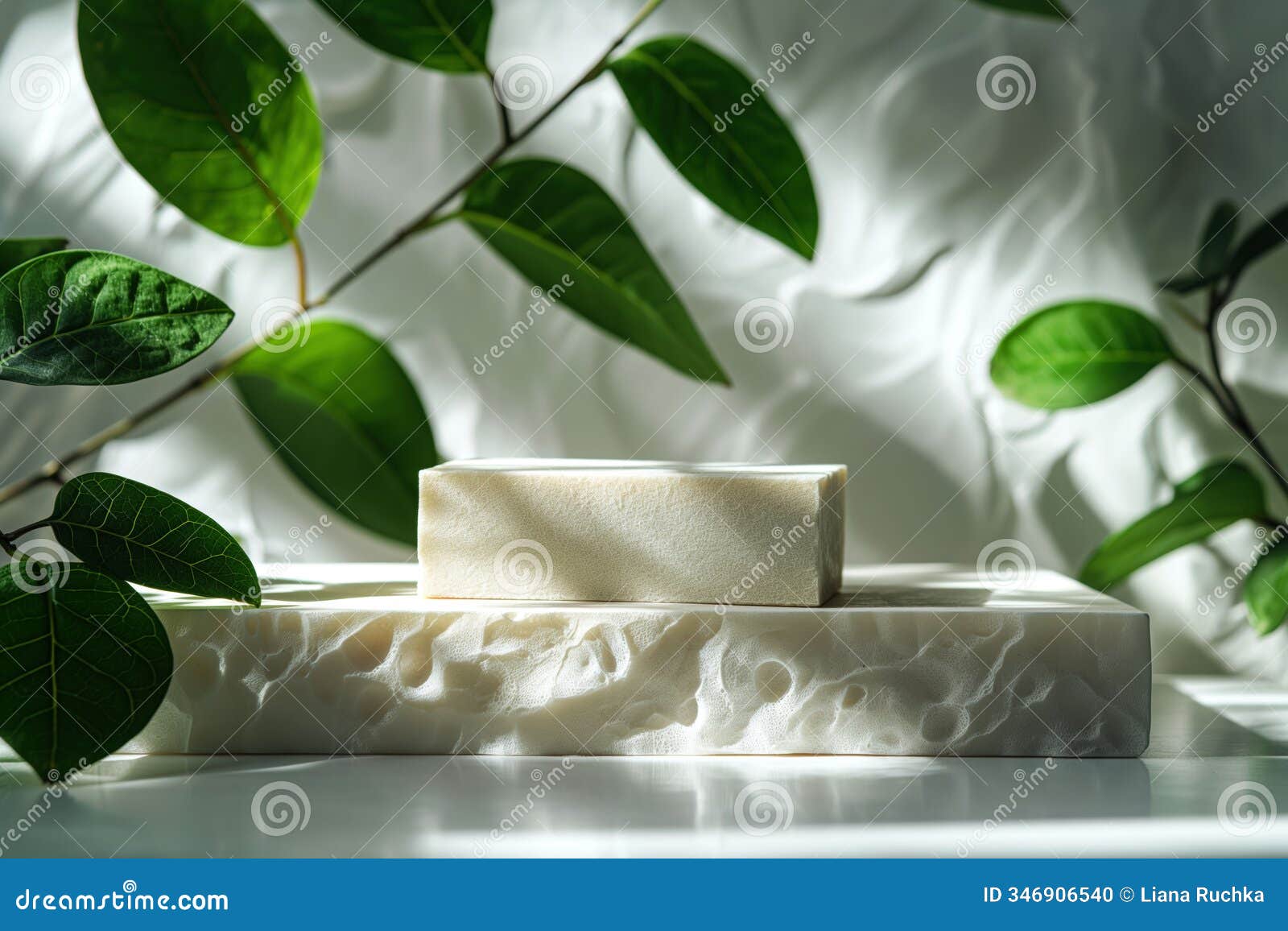 Mycelium Packaging Container Enhances Environmental Sustainability with ...