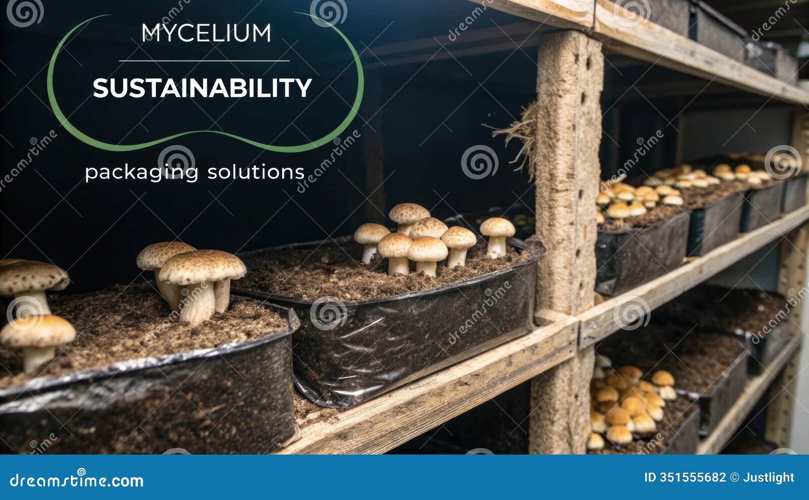 Mycelium Packaging, Cultivating Sustainable Solutions with Mushrooms ...
