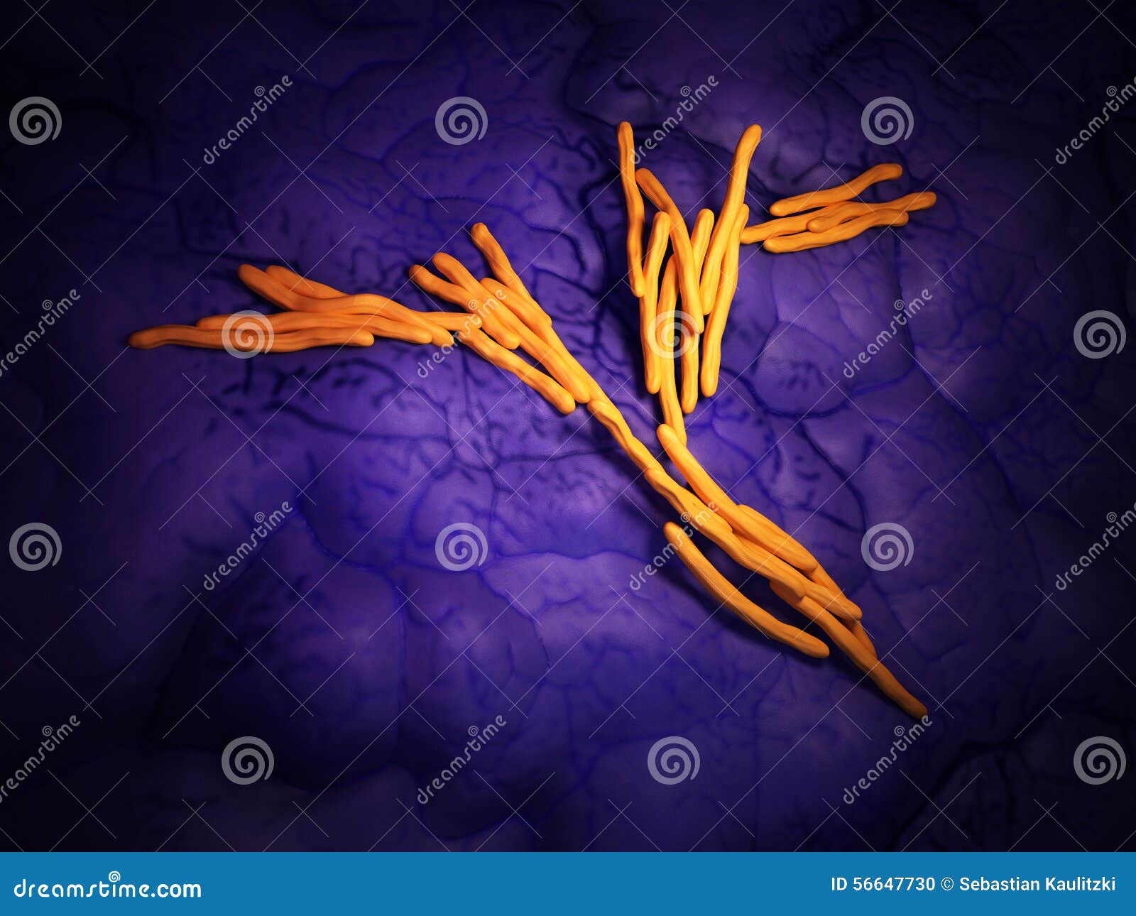 Mycobacterium Tuberculosis Icon On White Background. Vector ...
