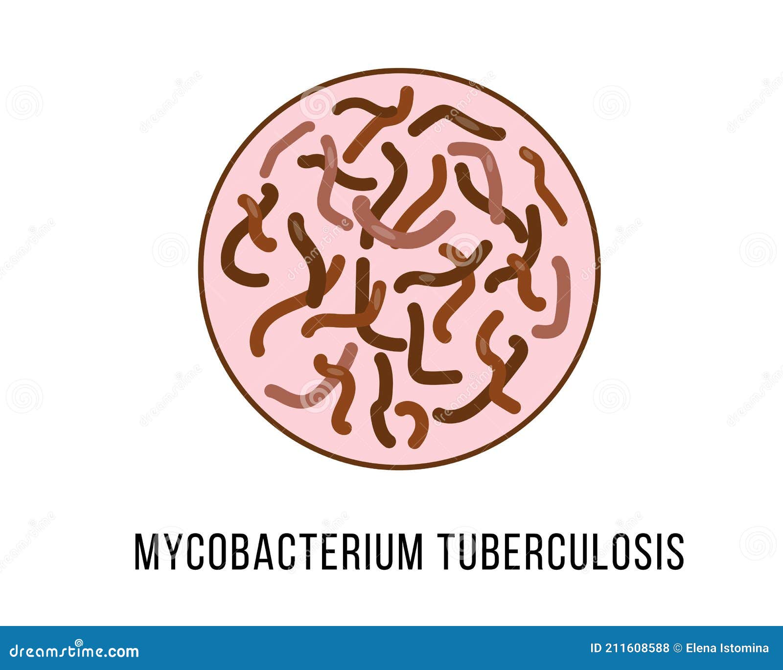 Mycobacterium Tuberculosis Icon on White Background. Stock Vector ...