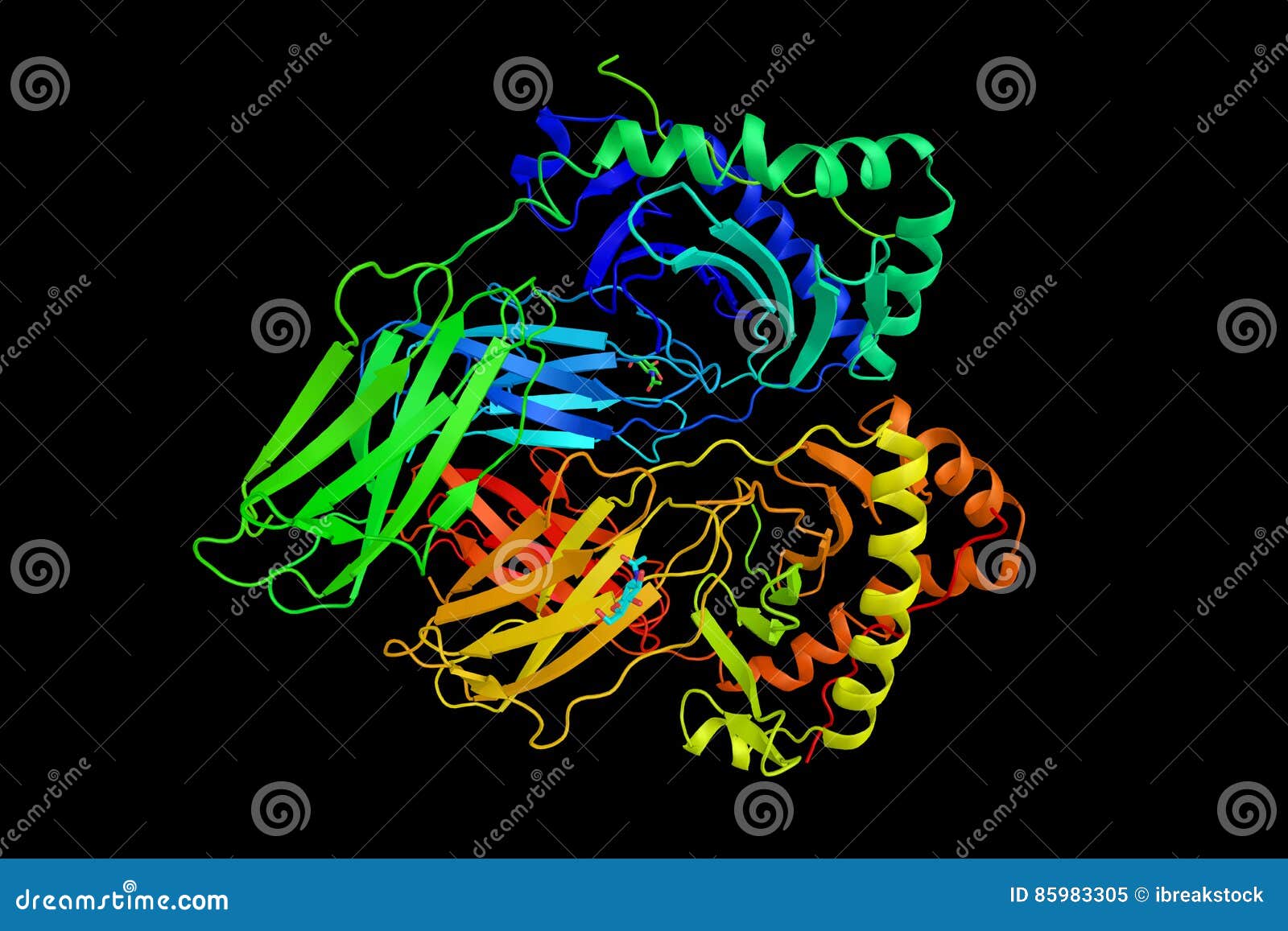 Myelin Basic Protein (MBP), a Protein Believed To Be Important I Stock ...